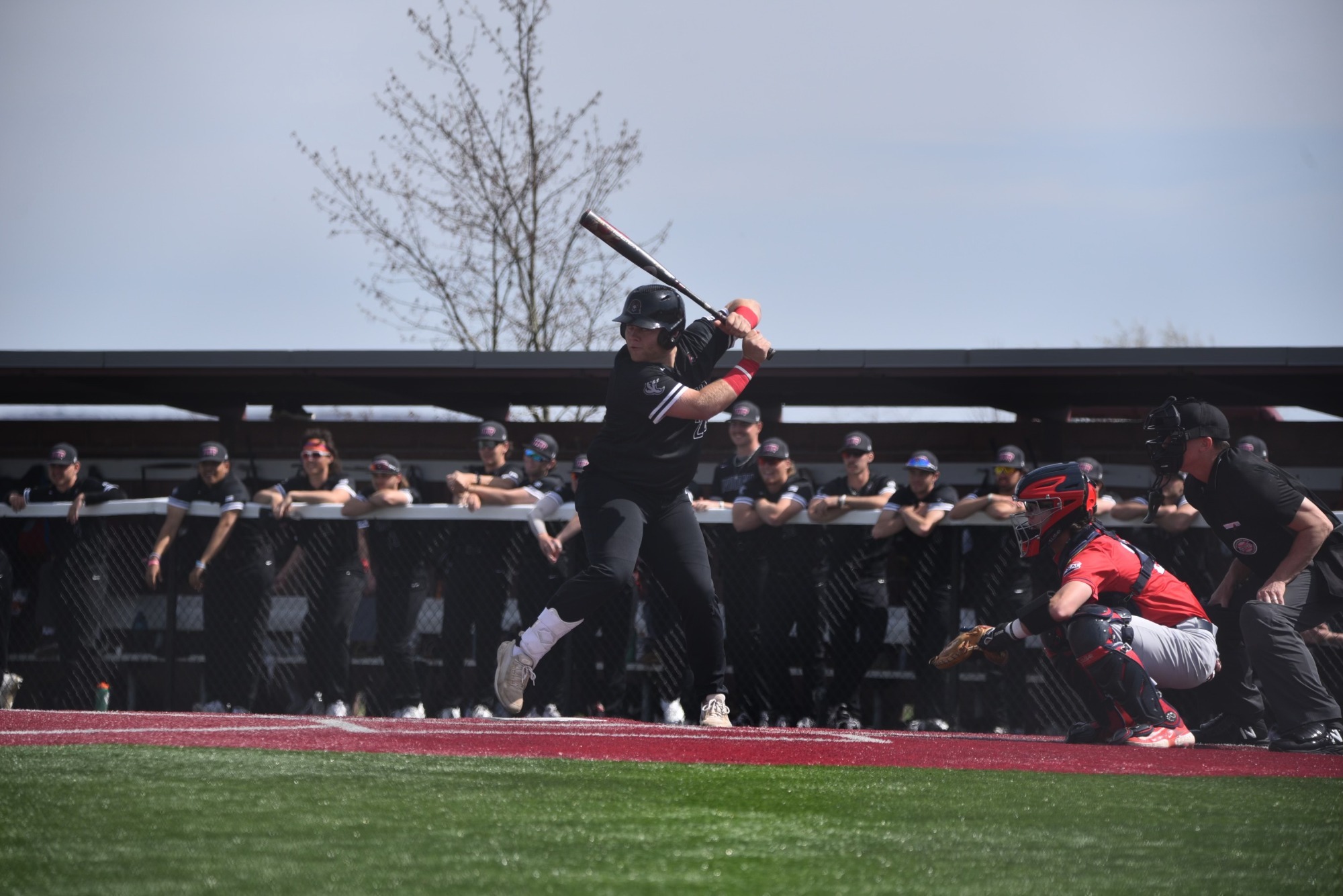 Andrew Sicinski - Baseball - Indiana University of Pennsylvania Athletics