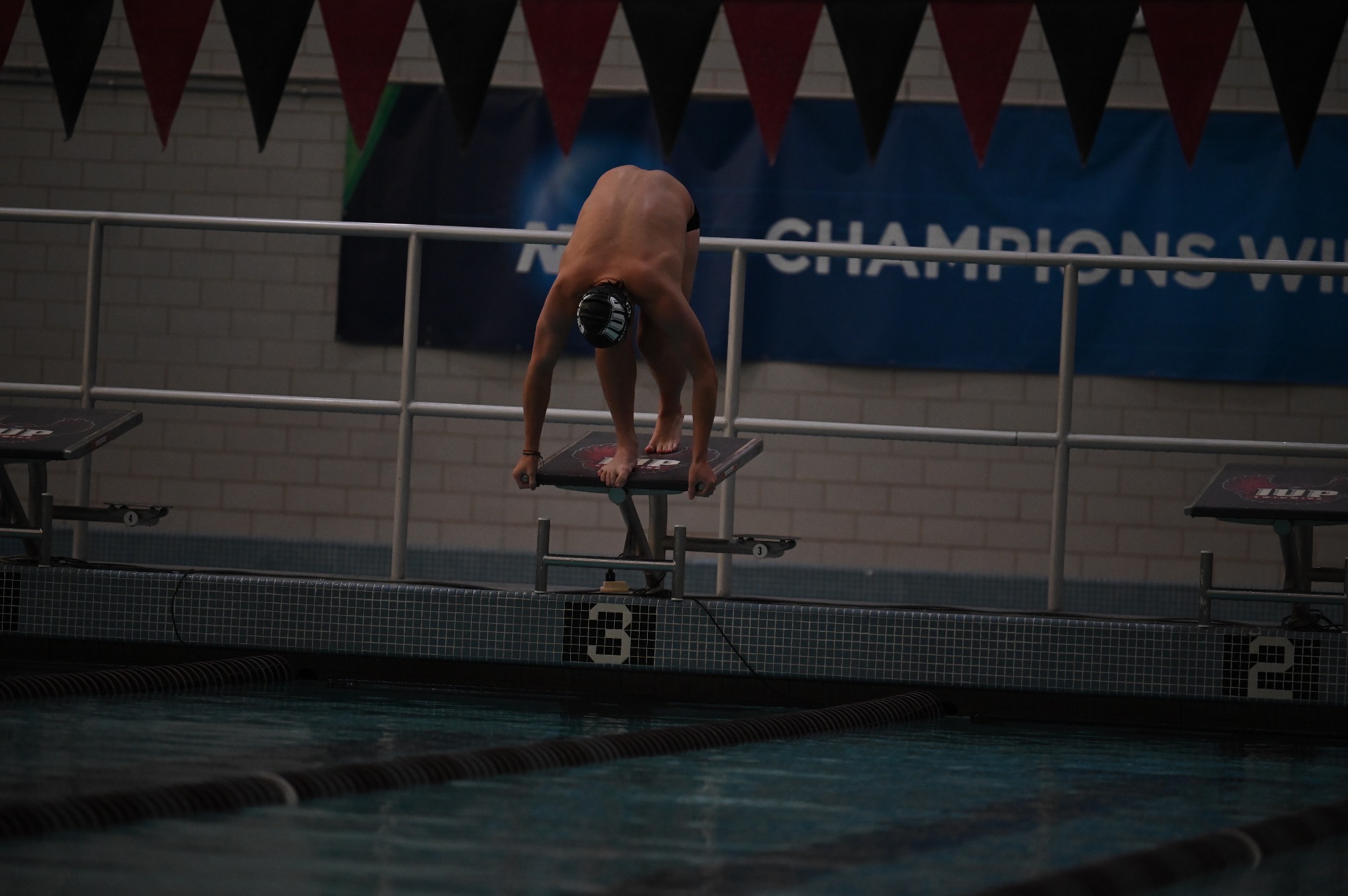 PREVIEW: IUP swimming set for 2025 PSAC Championships on Feb. 17-20 ...