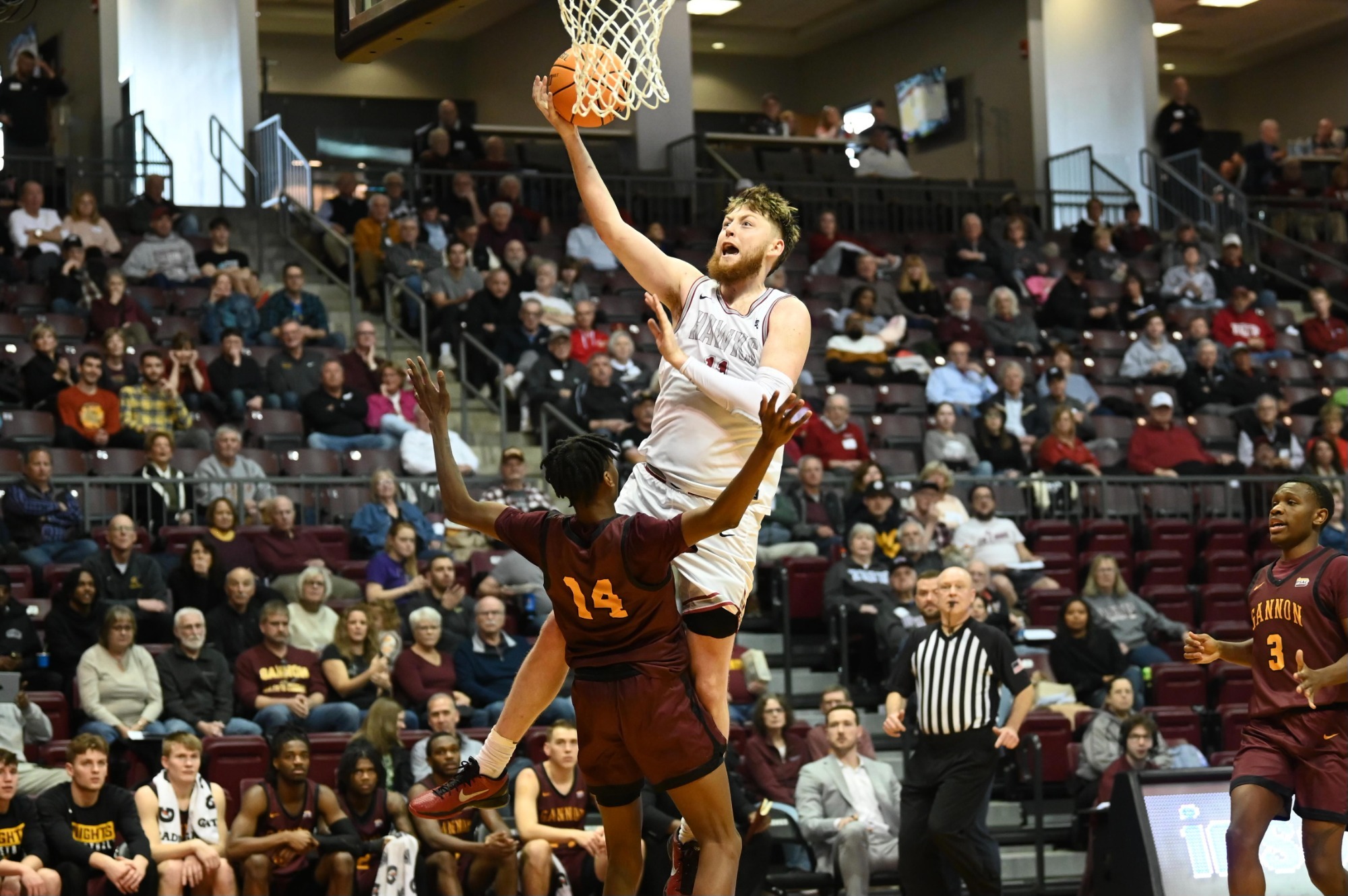 Ethan Porterfield - Men's Basketball - Indiana University of ...