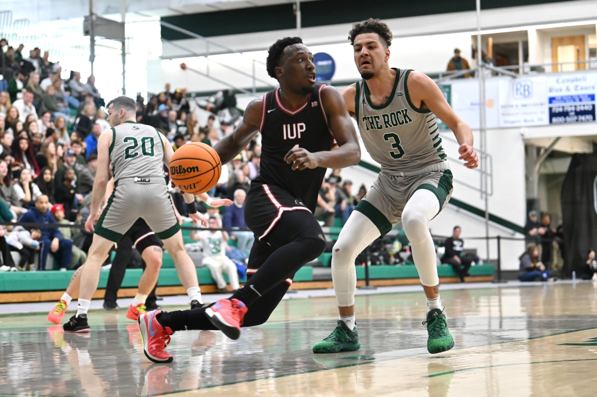 Garvin Clarke - Men's Basketball - Indiana University of Pennsylvania ...