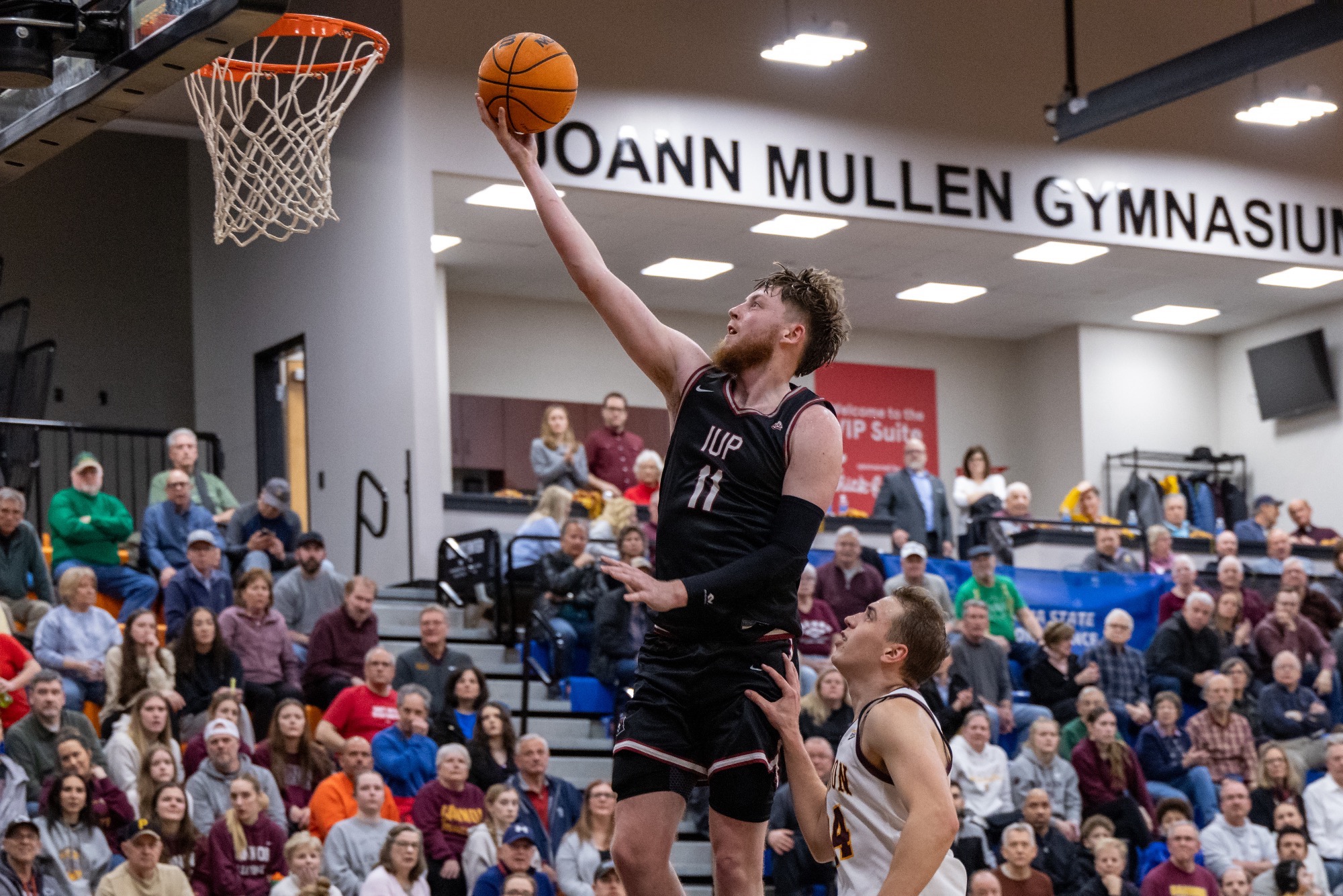 Ethan Porterfield - Men's Basketball - Indiana University of ...