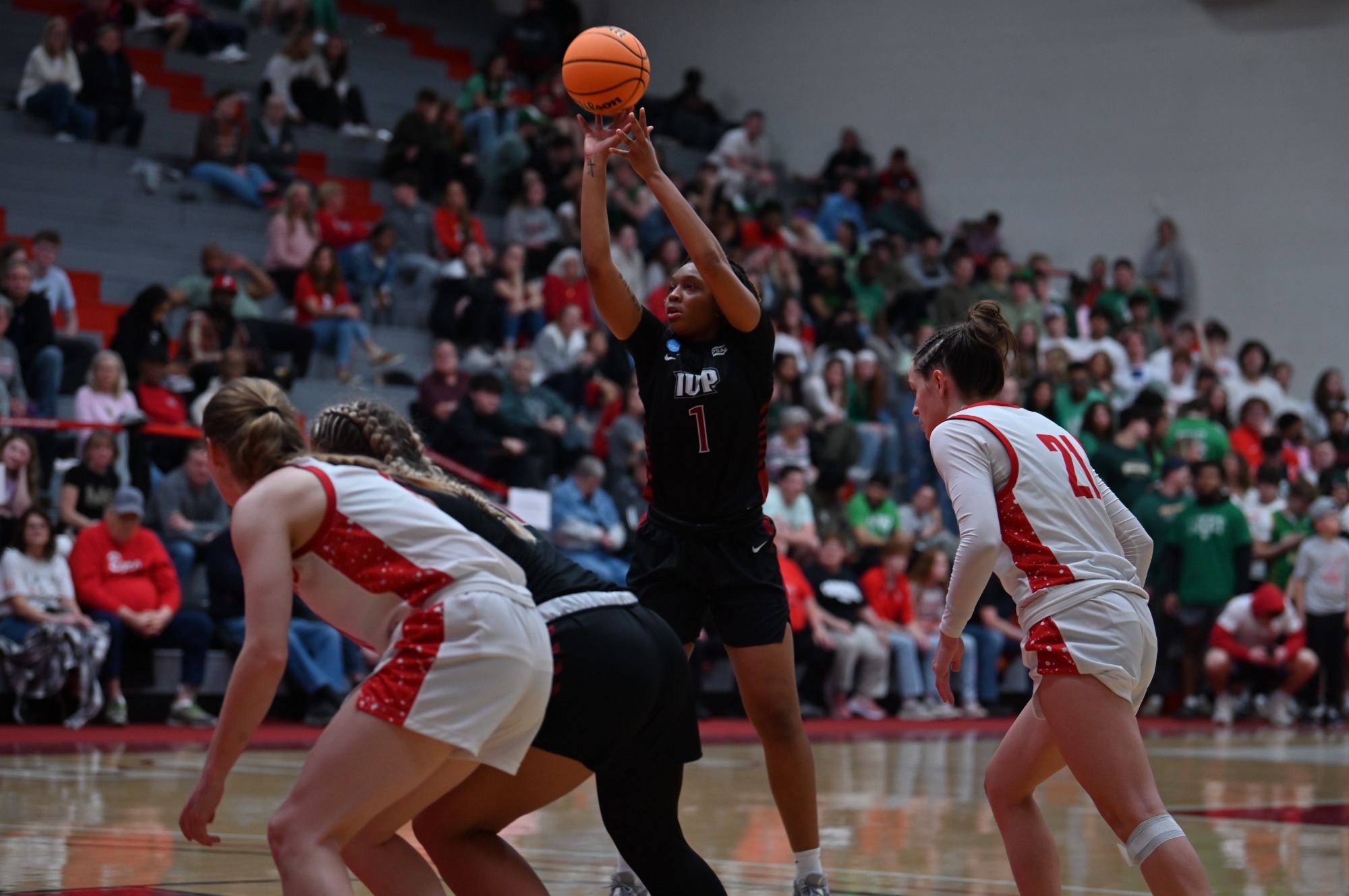 IUP women's basketball listed third in final NCAA DII Atlantic Region ...