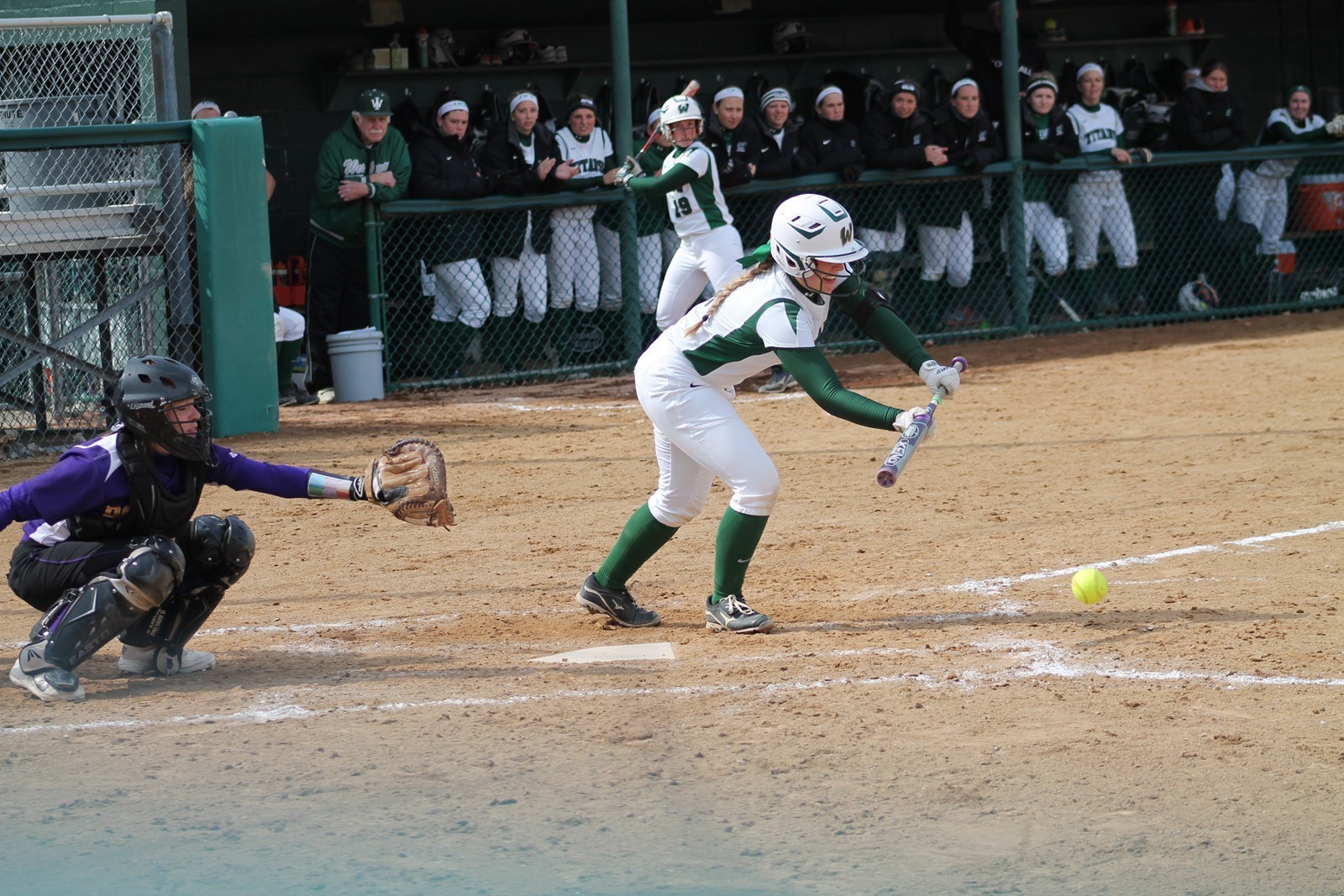 Amanda Lack - 2018 - Softball - Illinois Wesleyan University Athletics