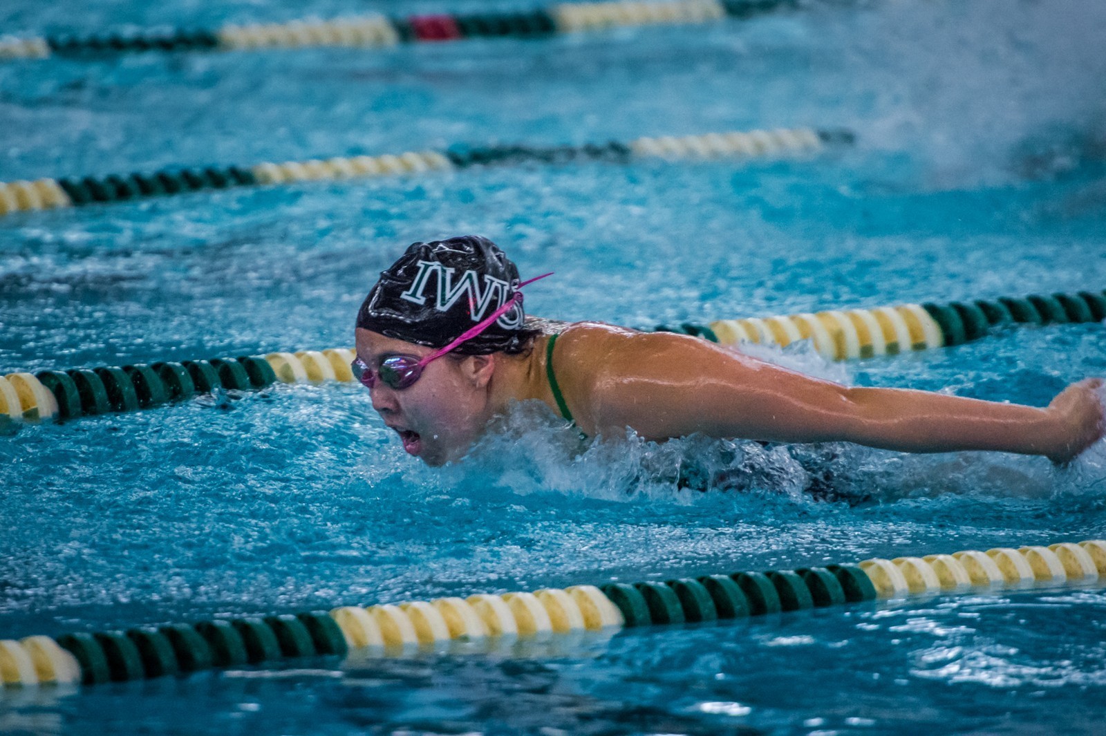 Lisa Cheng - 2018-19 - Women's Swimming and Diving - Illinois Wesleyan ...