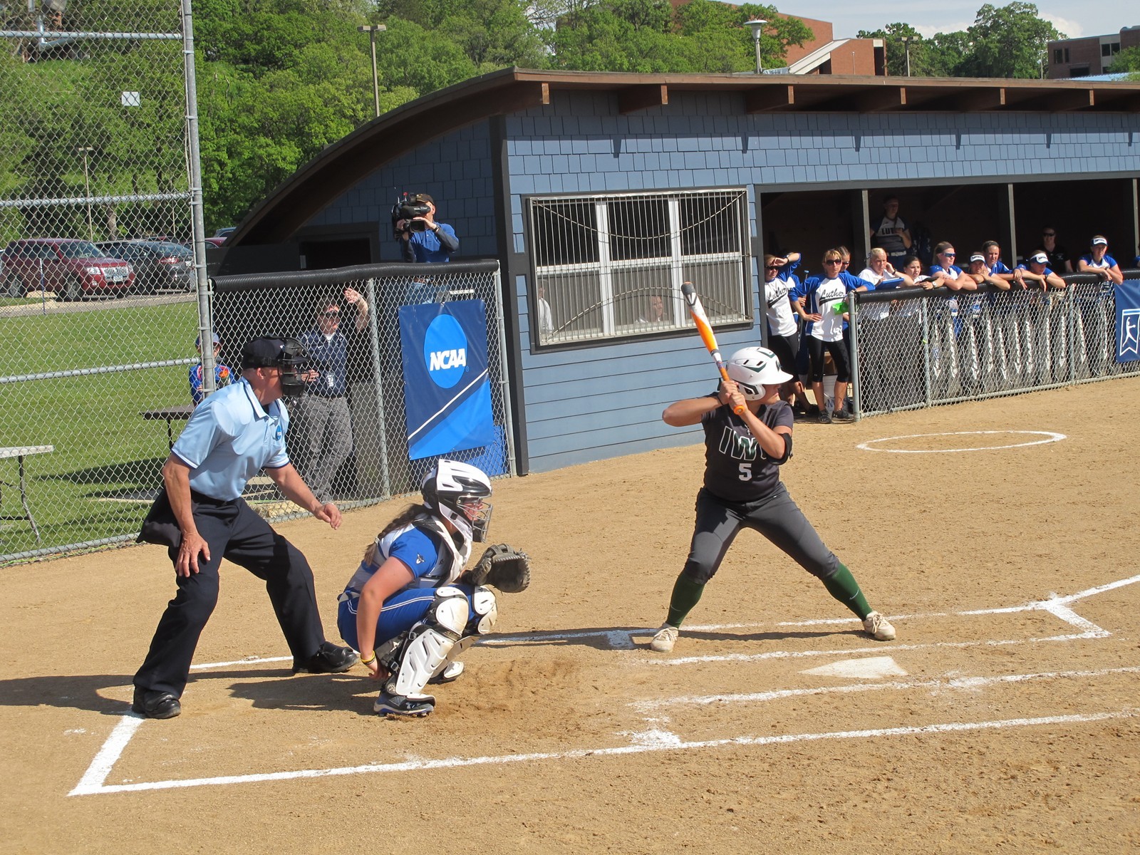 Mary Rankin - 2016 - Softball - Illinois Wesleyan University Athletics