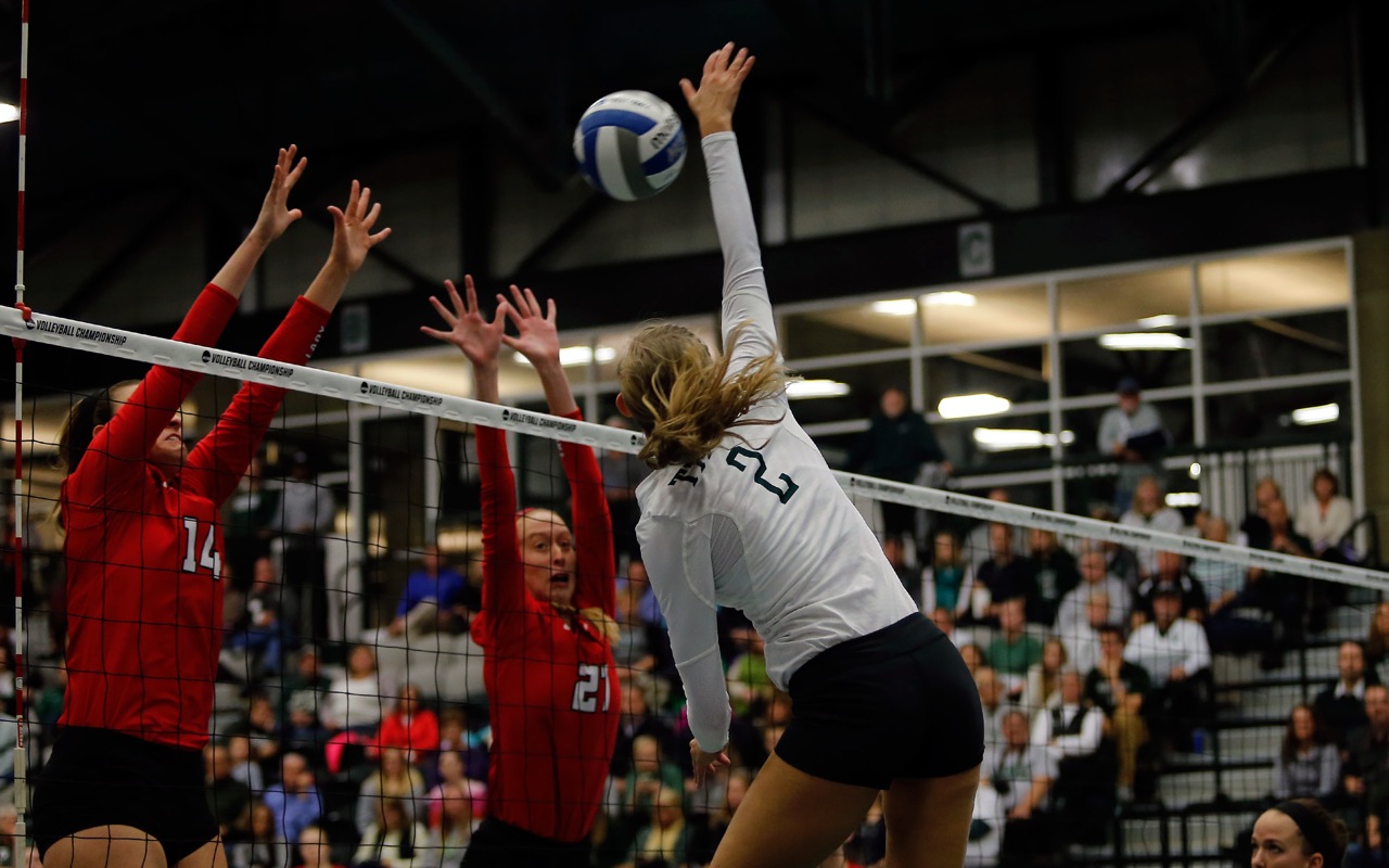 Kyleigh Block - 2017 - Women's Volleyball - Illinois Wesleyan ...