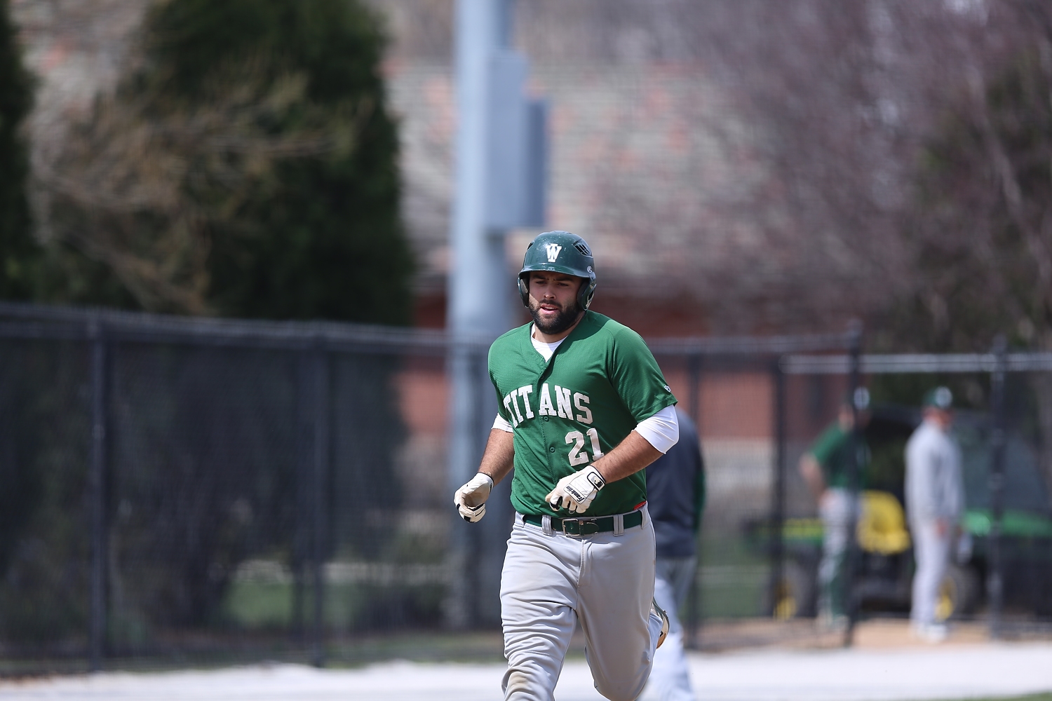 Pat Mollo - 2017 - Baseball - Illinois Wesleyan University Athletics