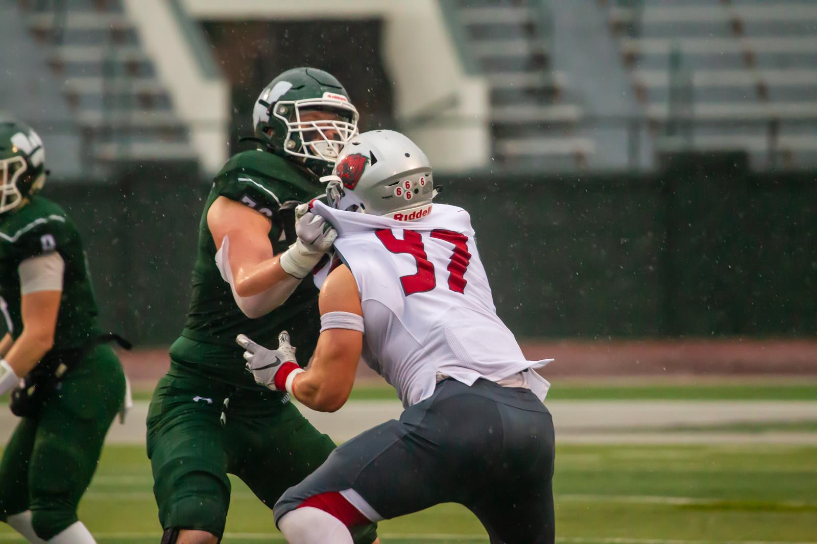 Ethan Emerson - 2019 - Football - Illinois Wesleyan University Athletics
