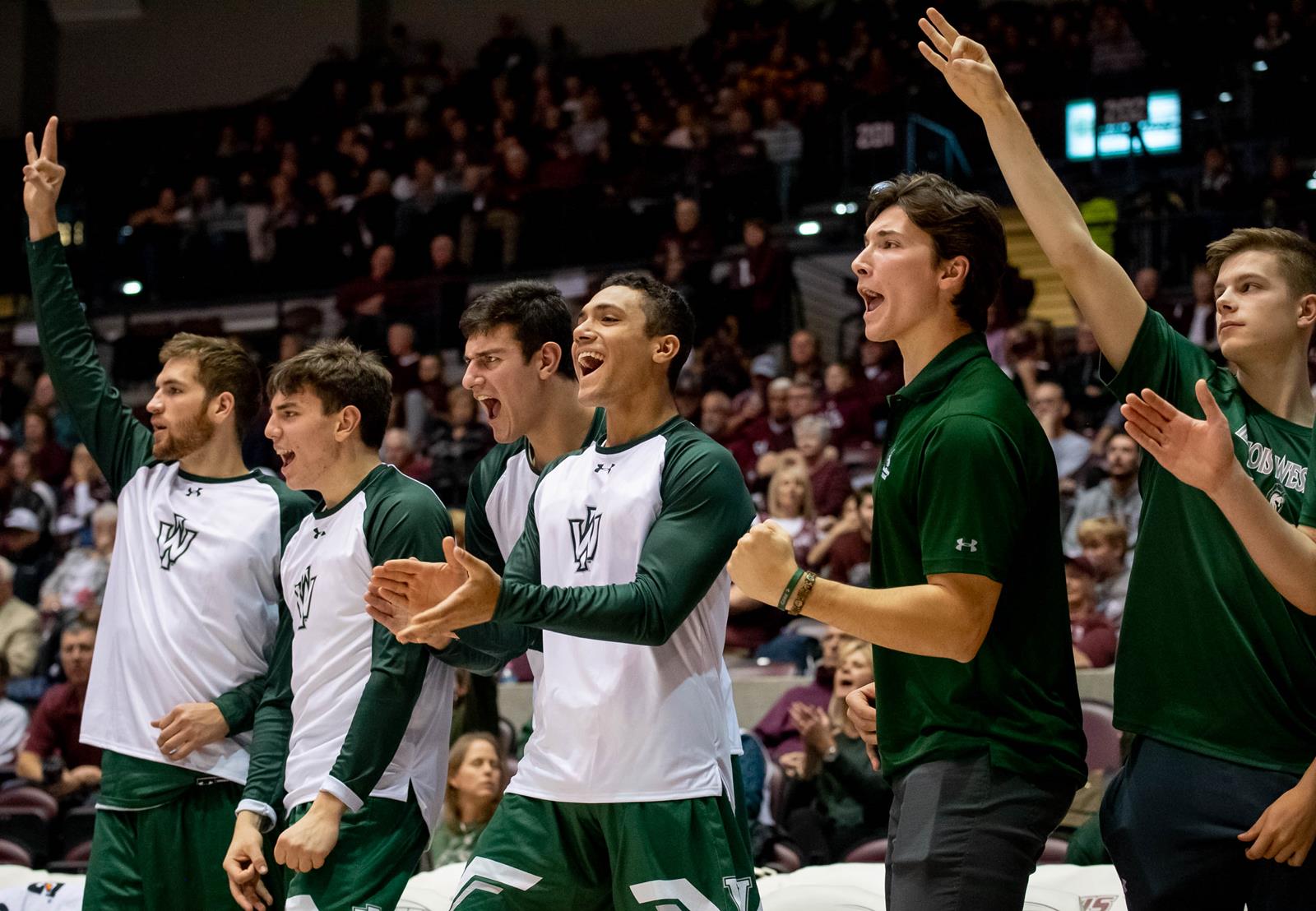 Samuel Painter - 2019-20 - Men's Basketball - Illinois Wesleyan ...