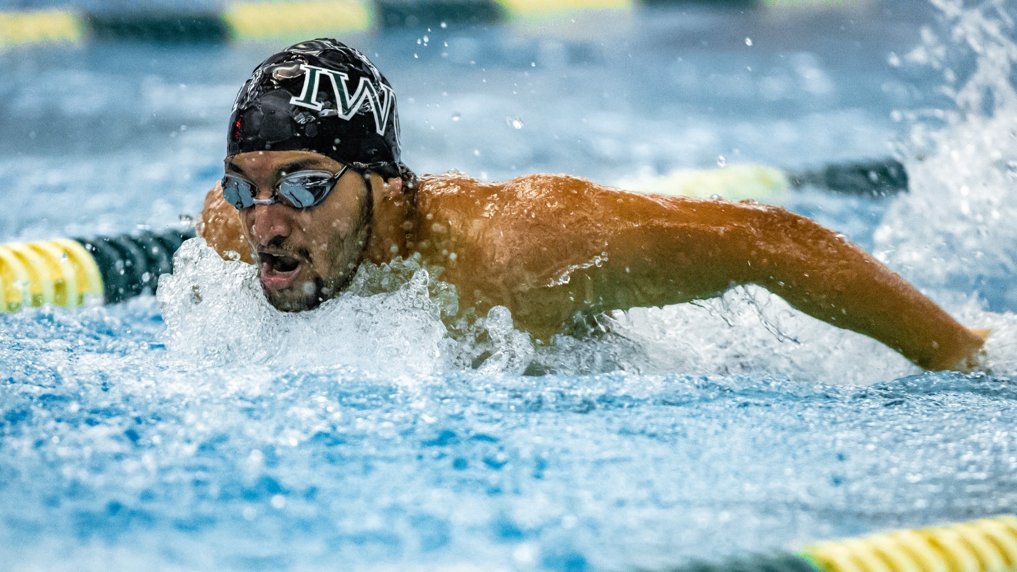 Shannon Pinto - 2022-23 - Men's Swimming and Diving - Illinois Wesleyan ...