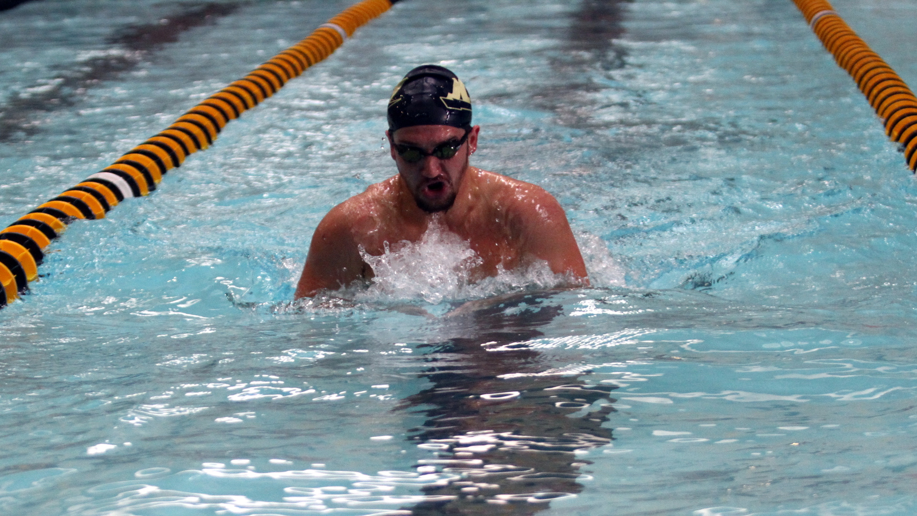 Alex Nucerino - Men's Swimming & Diving - John Carroll University Athletics