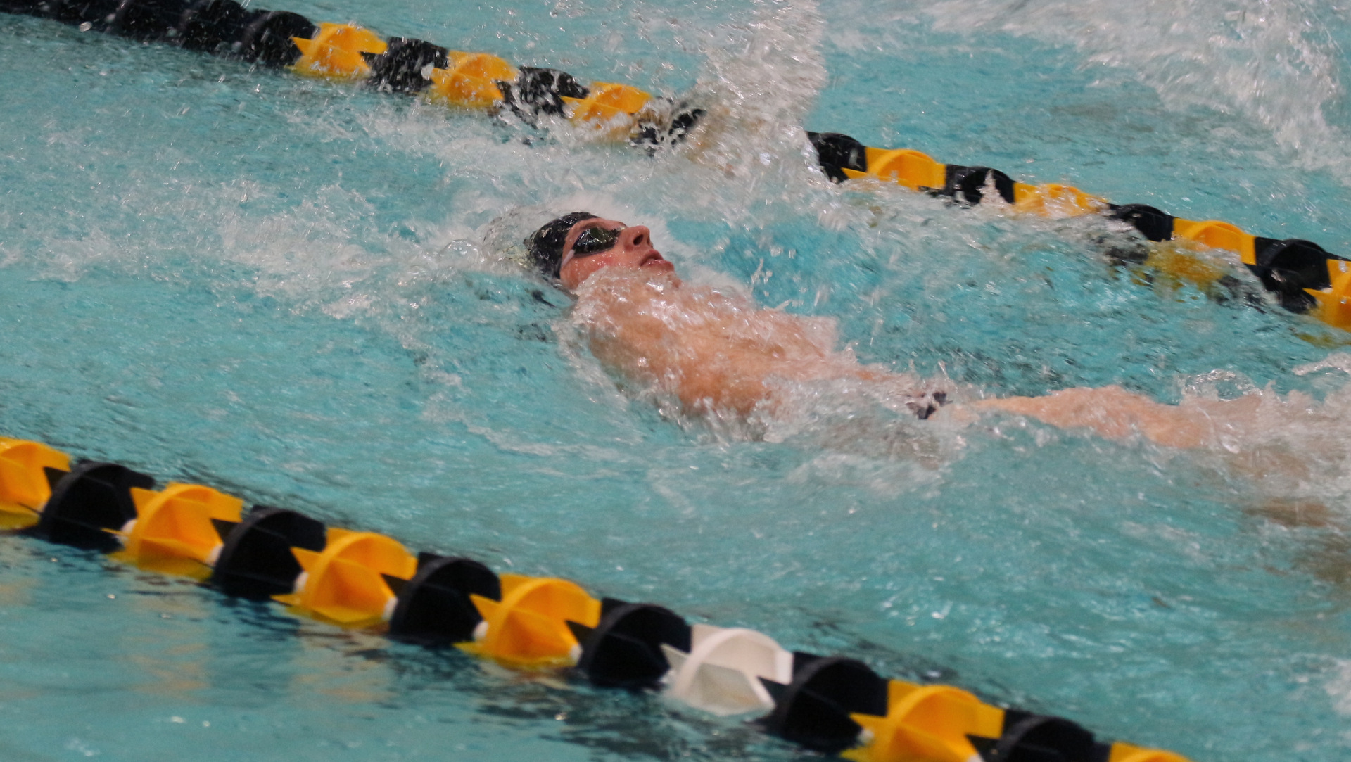 Forrest Campbell - Men's Swimming & Diving - John Carroll University ...