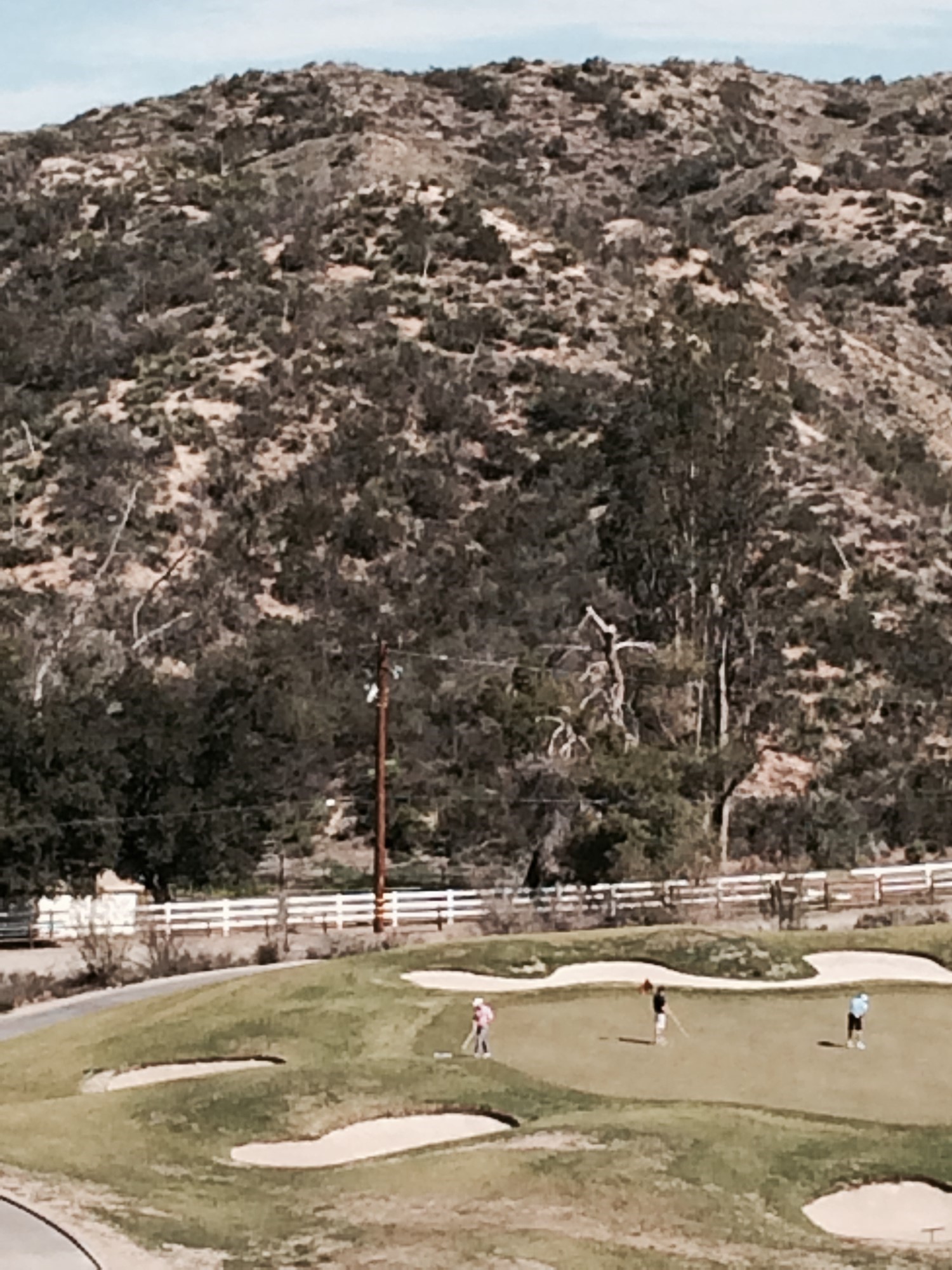 Johnnie Greco - 2016-17 - Men's Golf - Jessup University Athletics