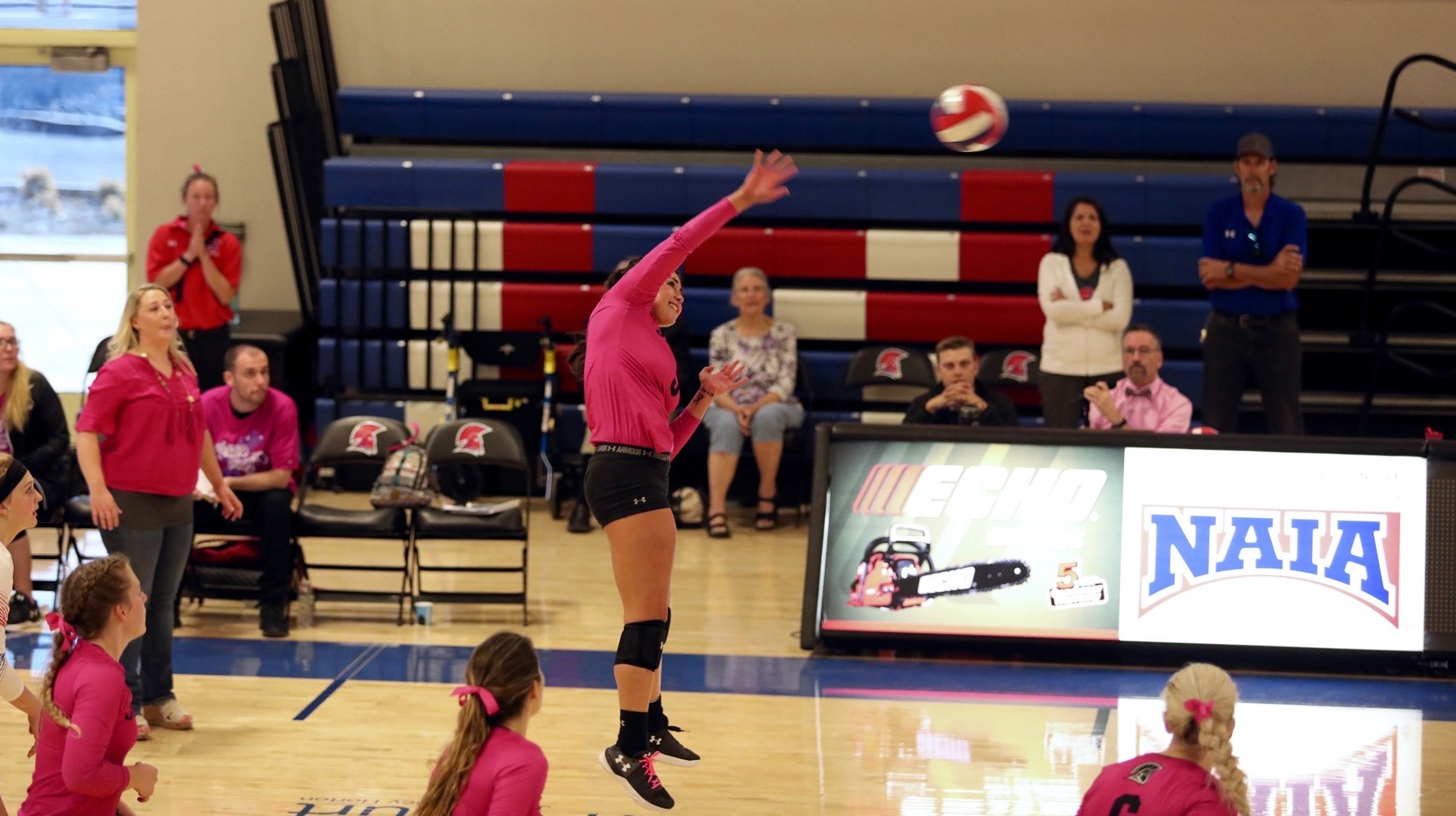 Taylor Jacky - 2019 - Women's Volleyball - Jessup University Athletics