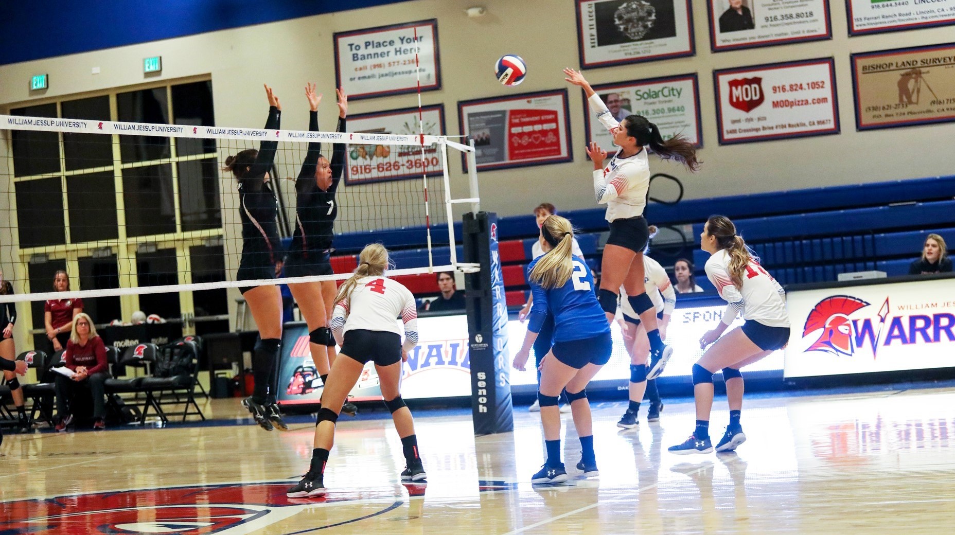 Taylor Jacky - 2019 - Women's Volleyball - Jessup University Athletics