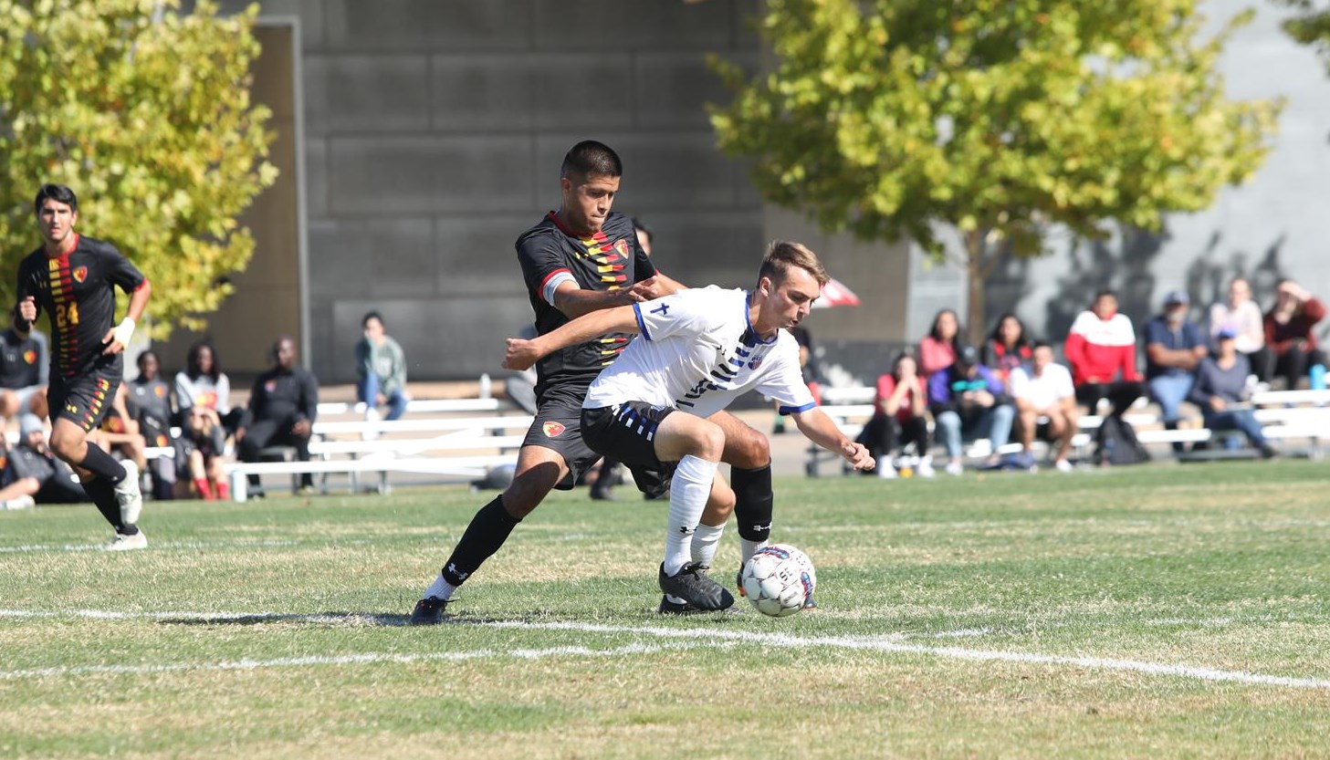 Josh Freeman - 2021 - Men's Soccer - Jessup University Athletics