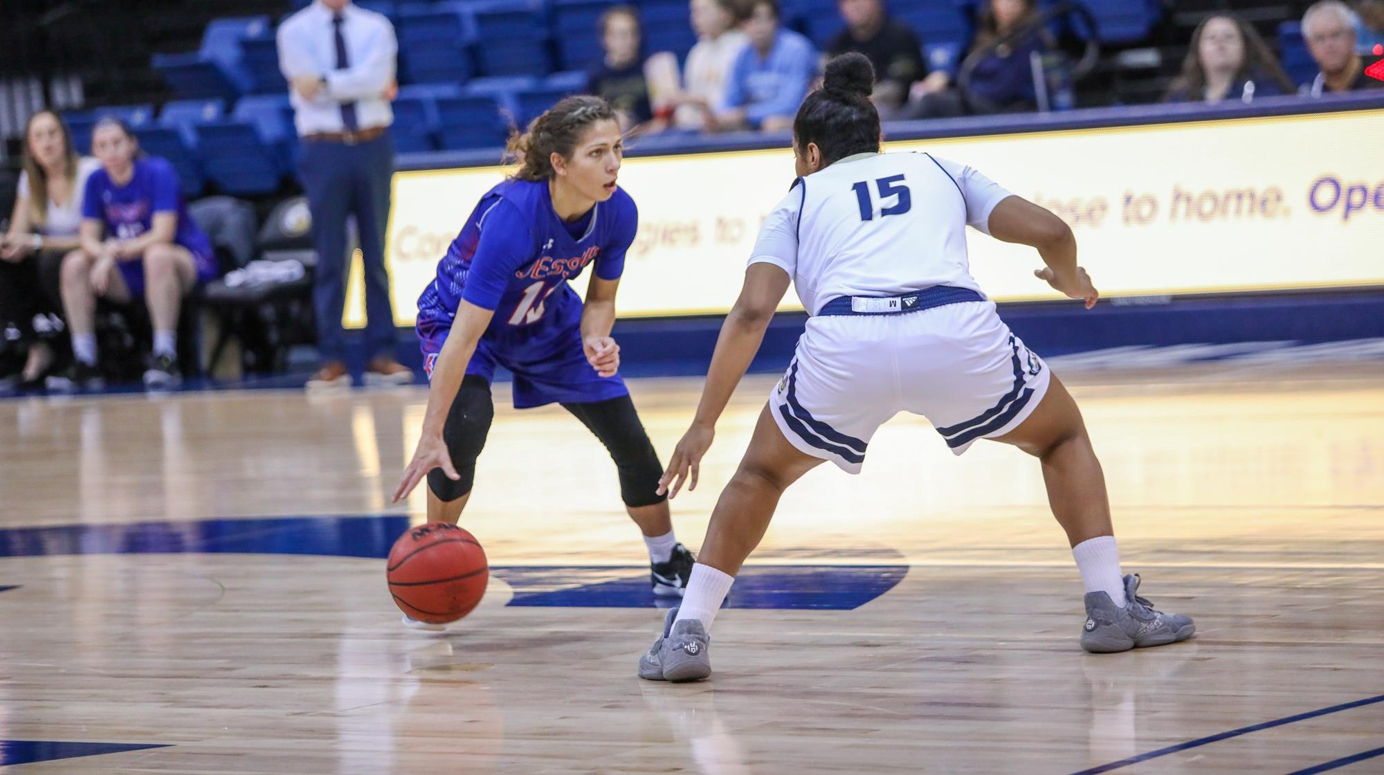 Liz Gehweiler - 2019-20 - Women's Basketball - Jessup University Athletics