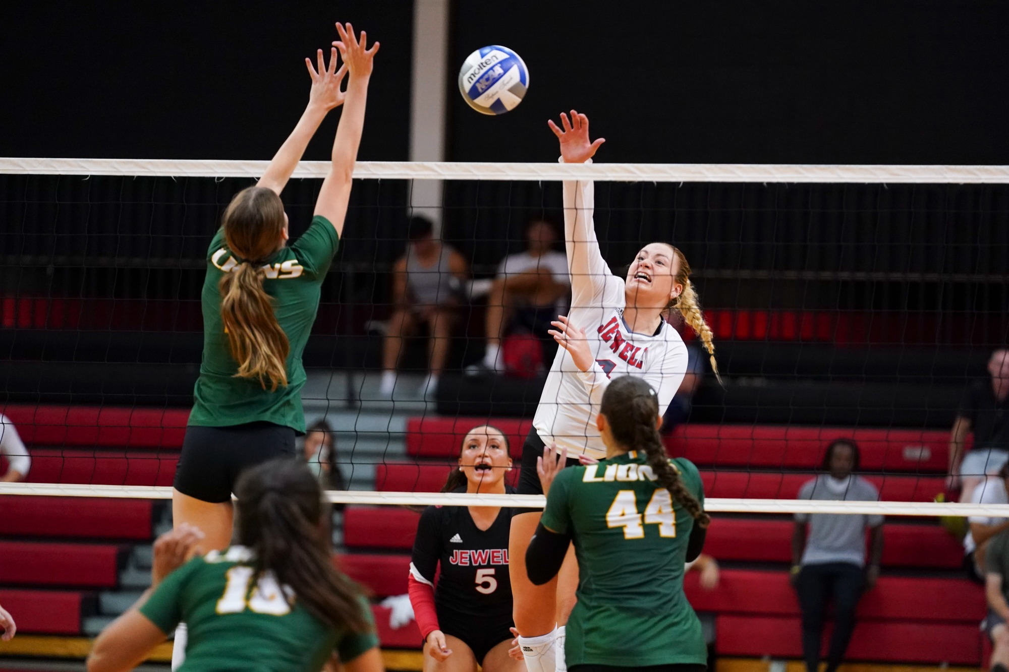Alex Dvorak - Women's Volleyball - William Jewell College Athletics