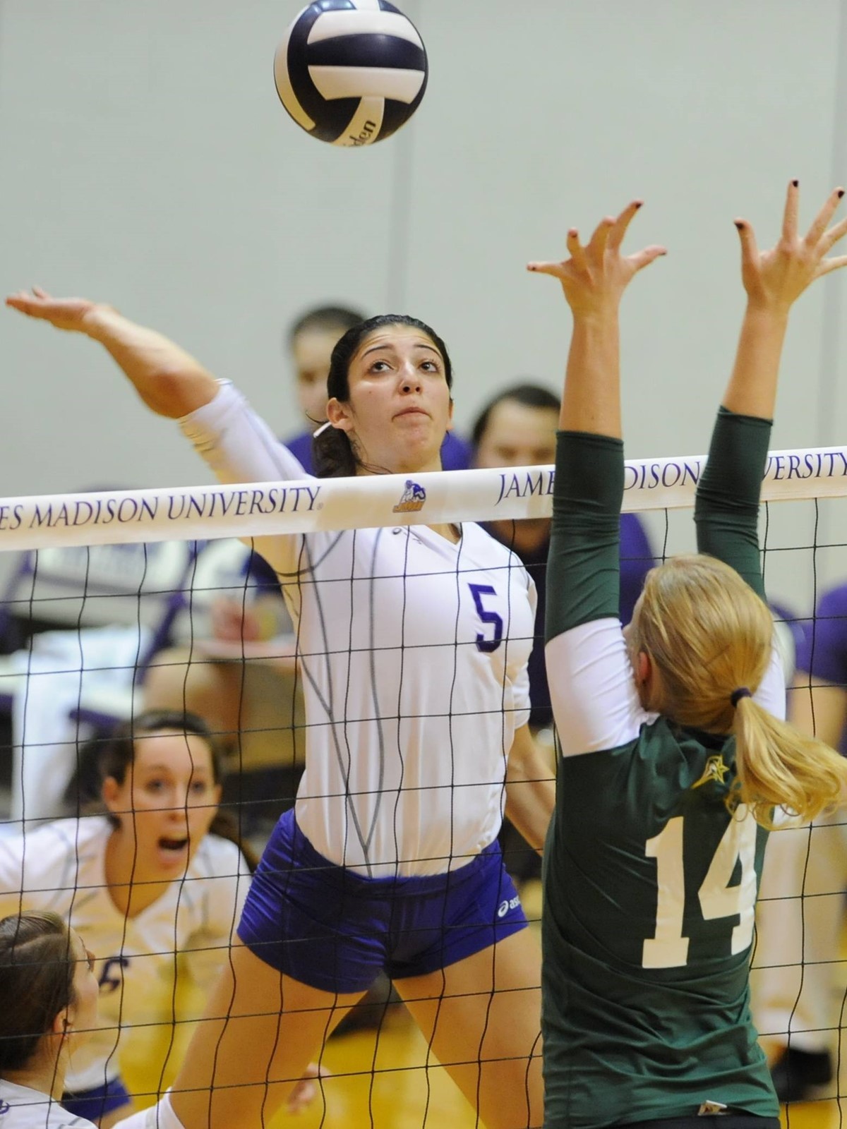 Jessica Zeroual - Volleyball - James Madison University Athletics
