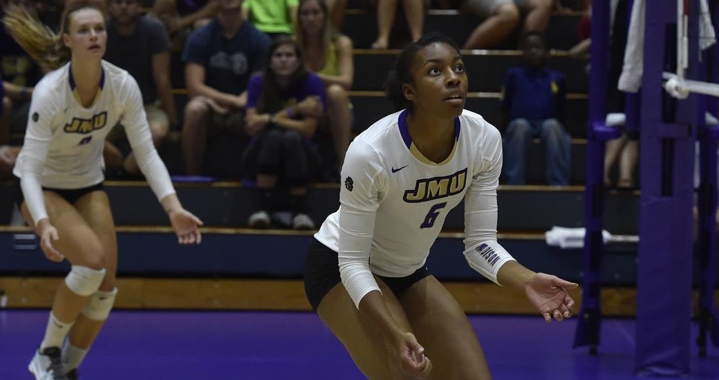 Taylor Gail - Volleyball - James Madison University Athletics