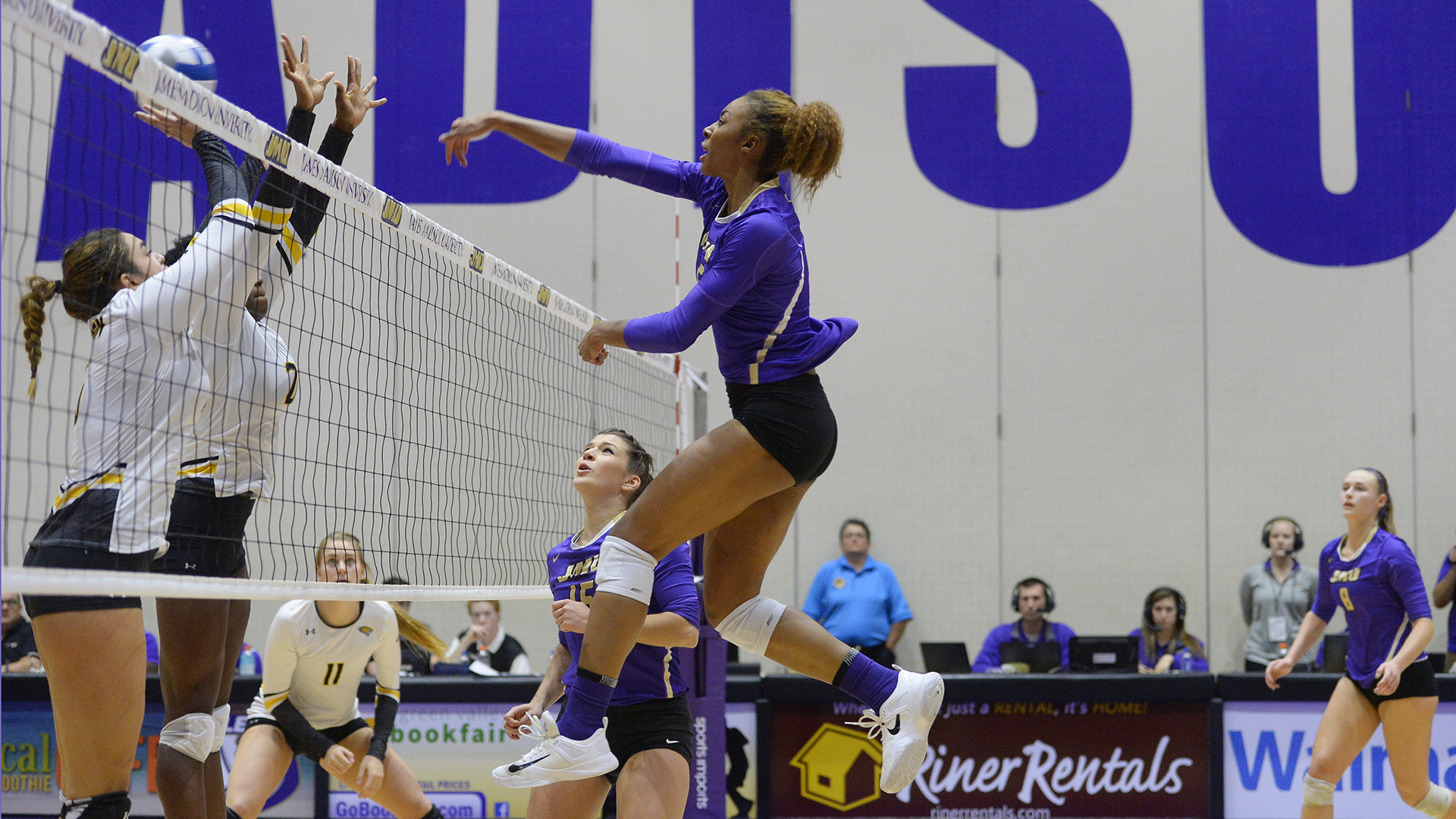 Taylor Gail - Volleyball - James Madison University Athletics