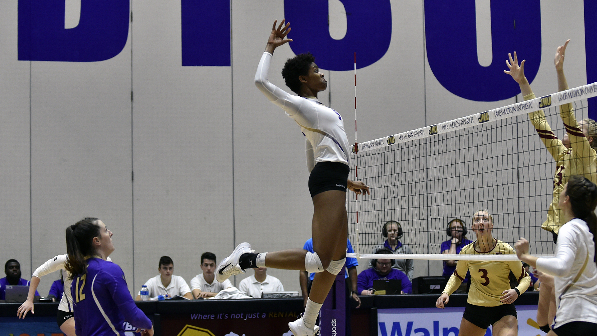 M'Kaela White - Volleyball - James Madison University Athletics