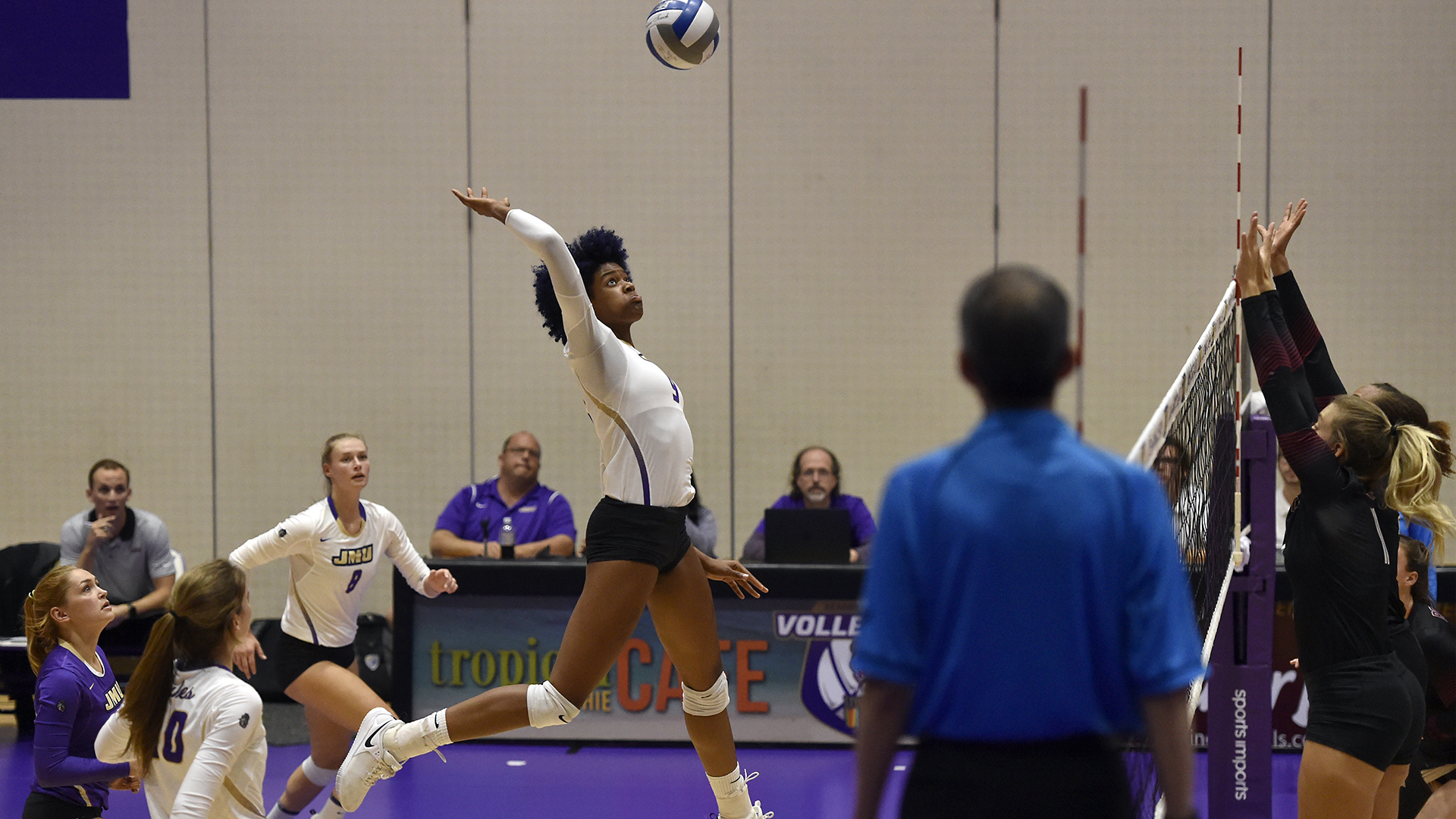 M'Kaela White - Volleyball - James Madison University Athletics