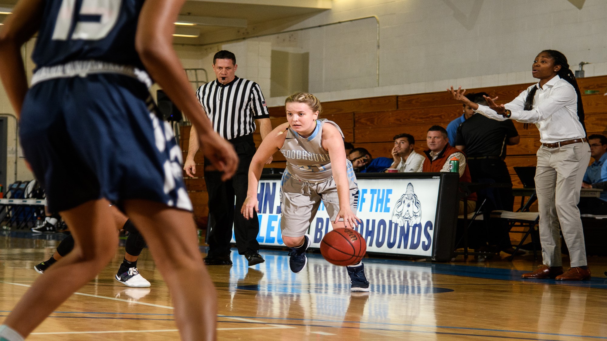 Dana Nicholson - Women's Basketball - John Jay College Athletics