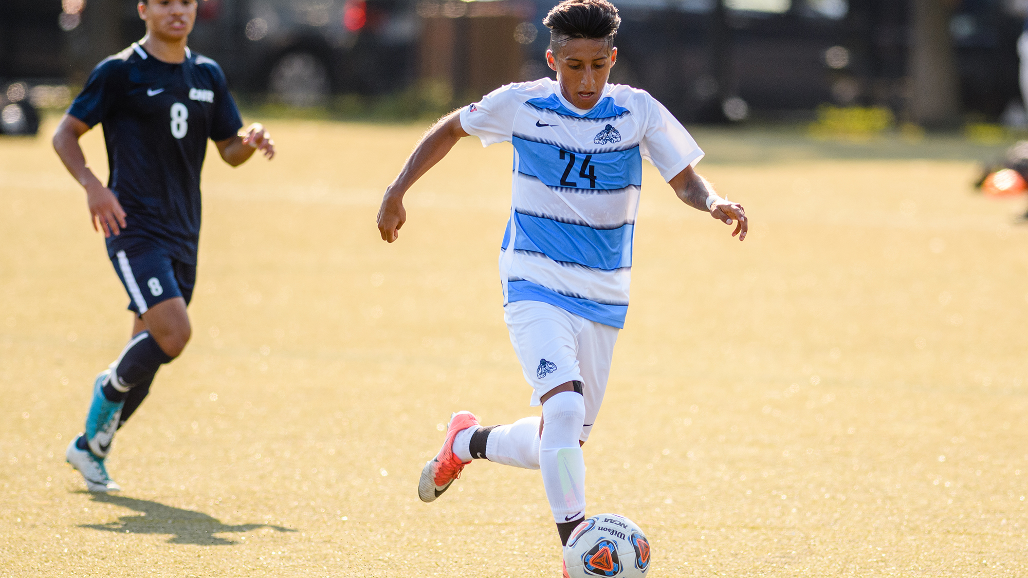 Chris Toledo - Men's Soccer - John Jay College Athletics