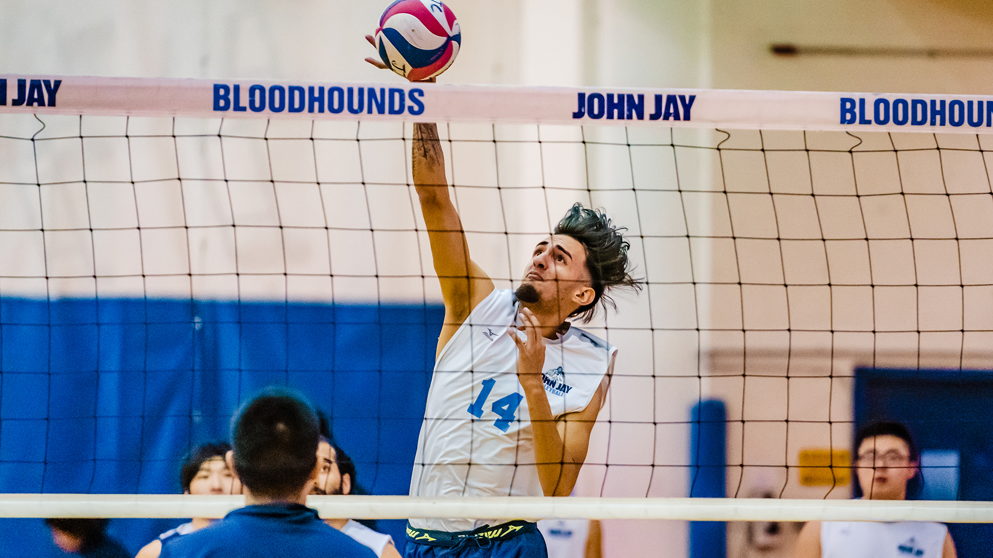 Alejandro Gallardo - Men's Volleyball - John Jay College Athletics
