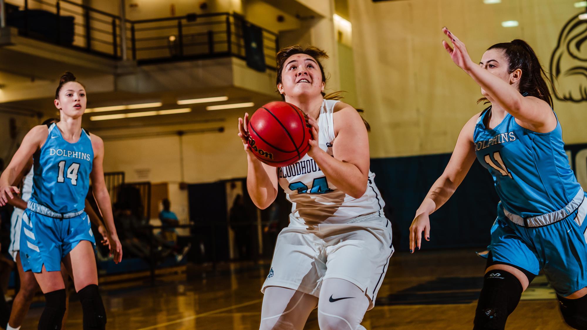 Jessica Gorman - Women's Basketball - John Jay College Athletics