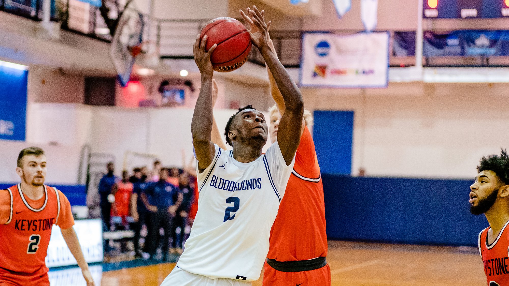 Garrison Watkins - Men's Basketball - John Jay College Athletics