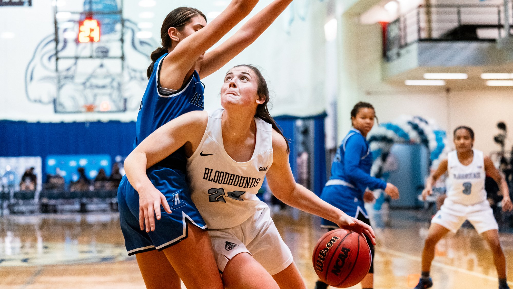 Katie Healy Double-Doubles Again but Women's Basketball Falls Short ...