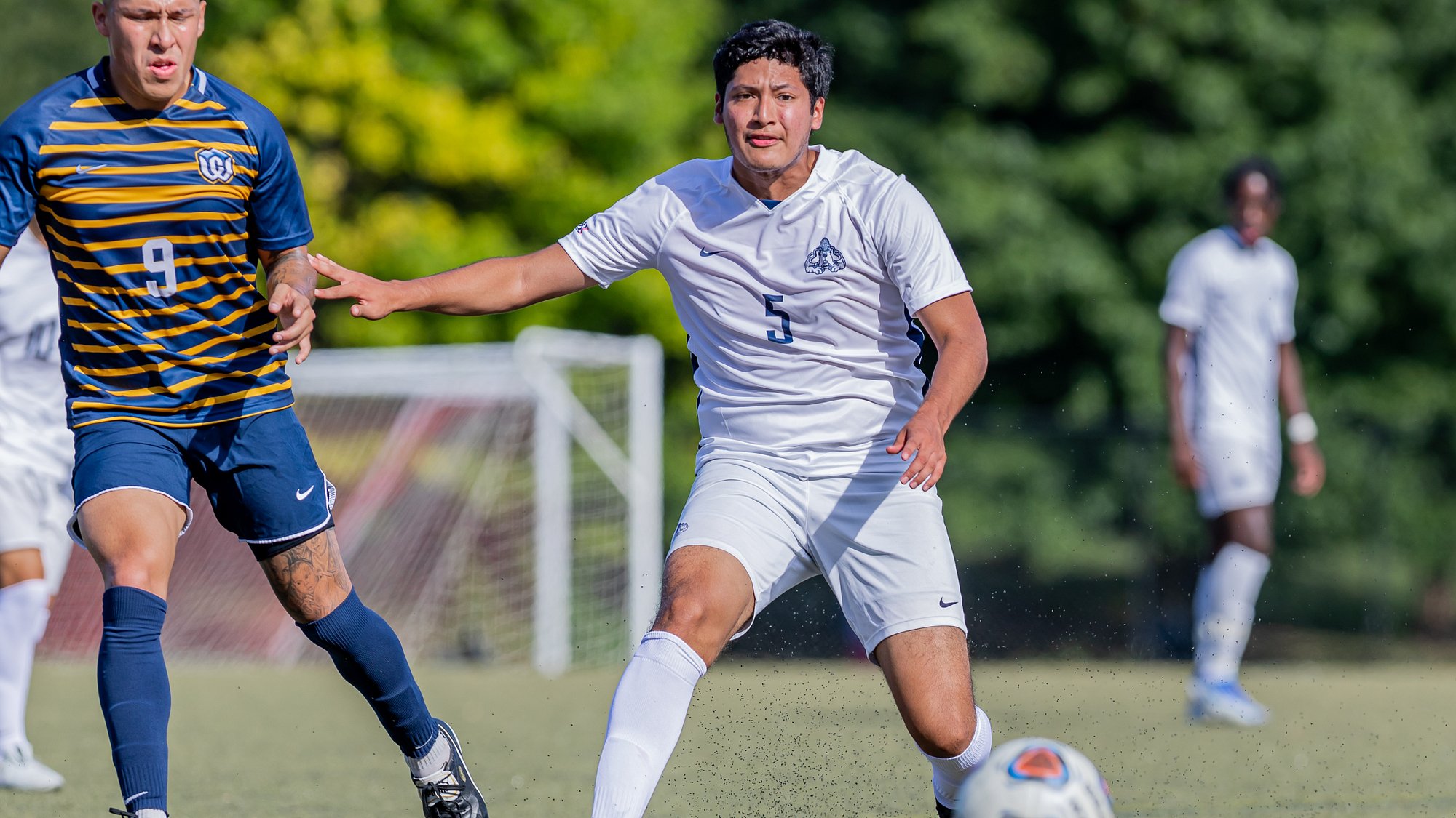 Victor Torres - Men's Soccer - John Jay College Athletics