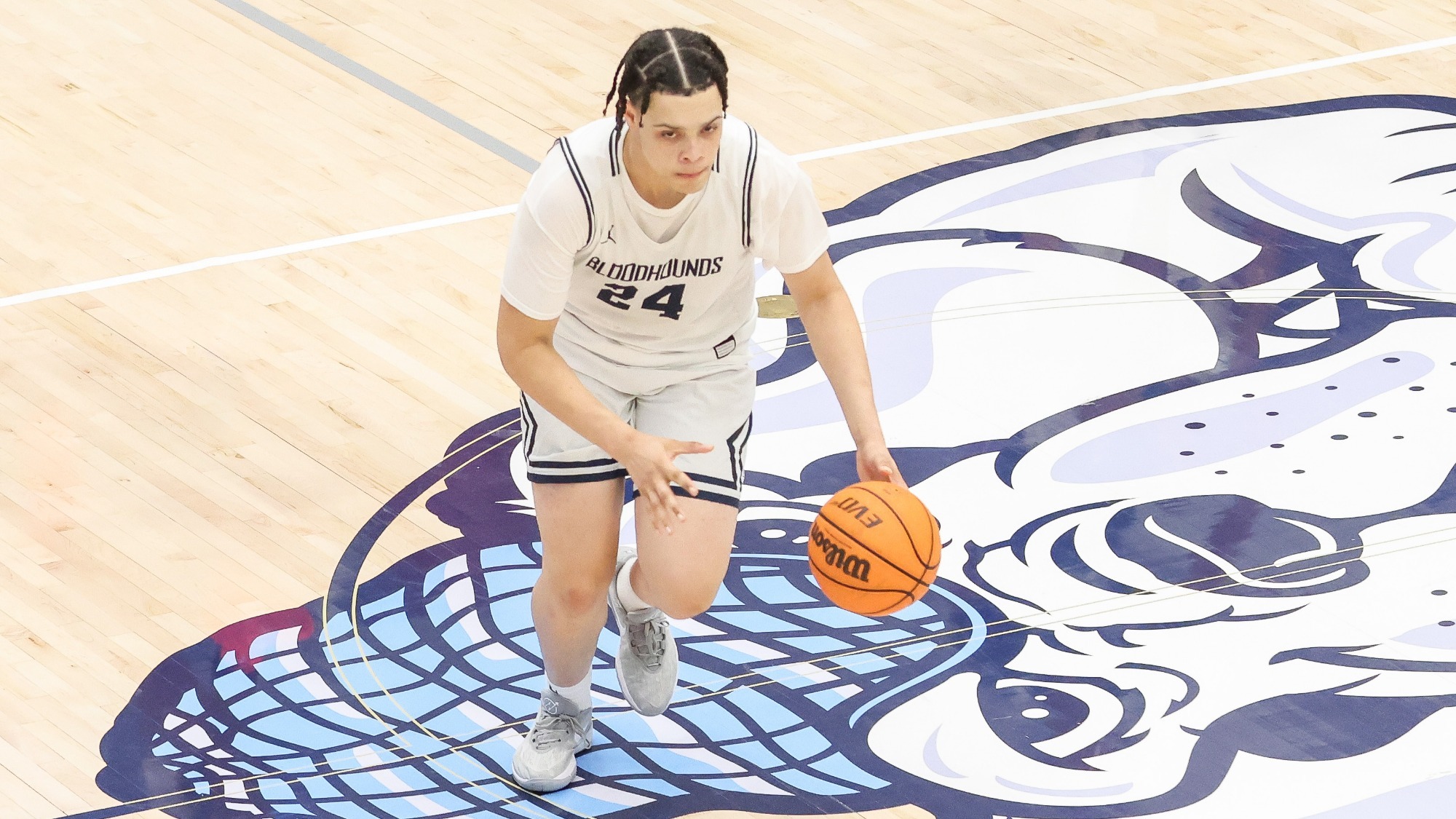 Daniel Reyes - Men's Basketball - John Jay College Athletics