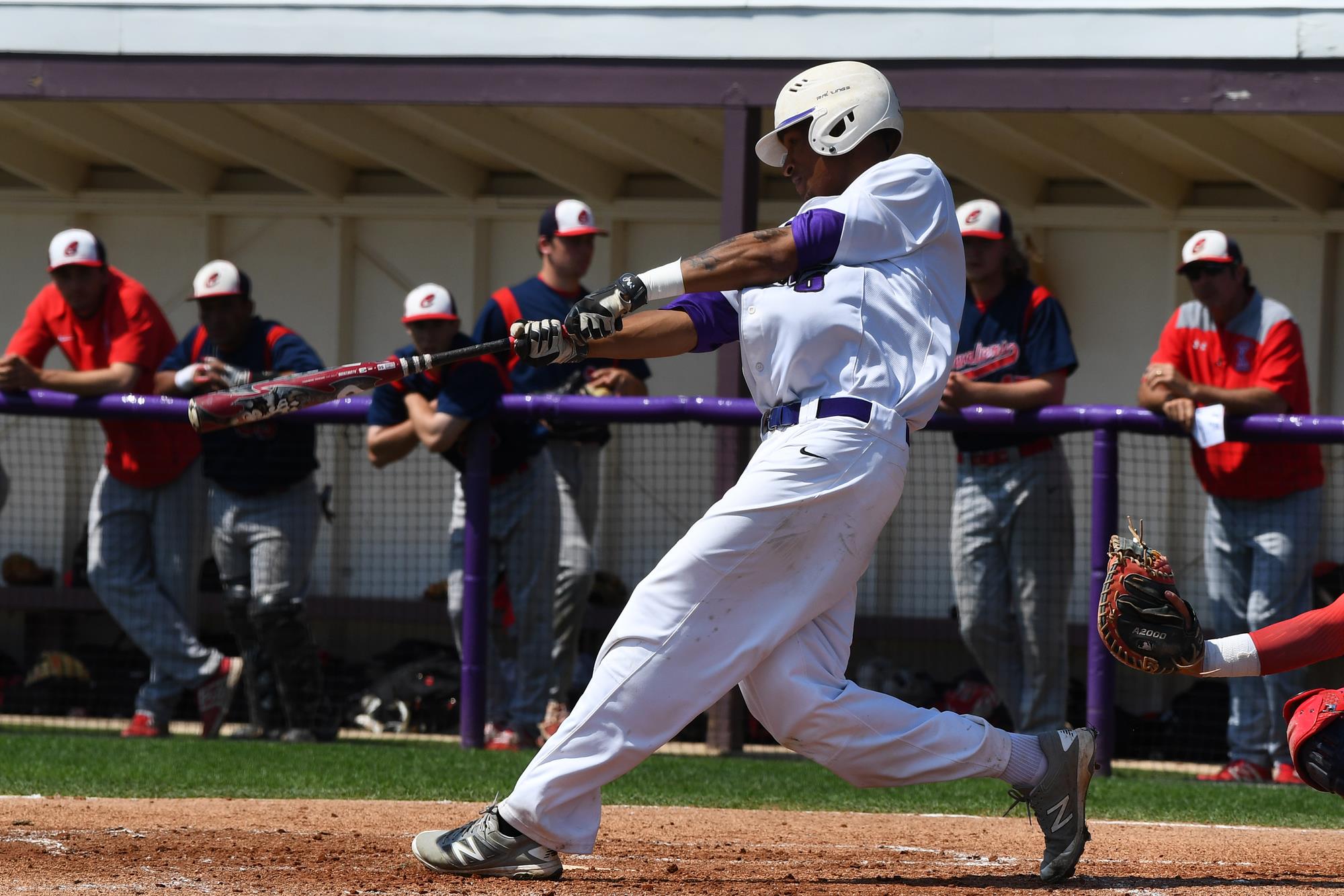 Rob Blissitt - Baseball - Joliet Junior College Athletics