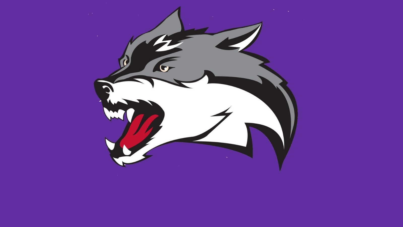 Basketball wins both at DuPage - Joliet Junior College Athletics