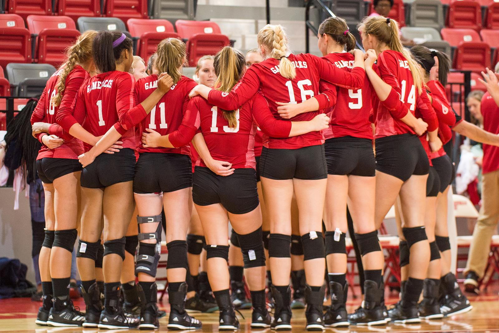 Addie Halverson - Volleyball - Jacksonville State University Athletics