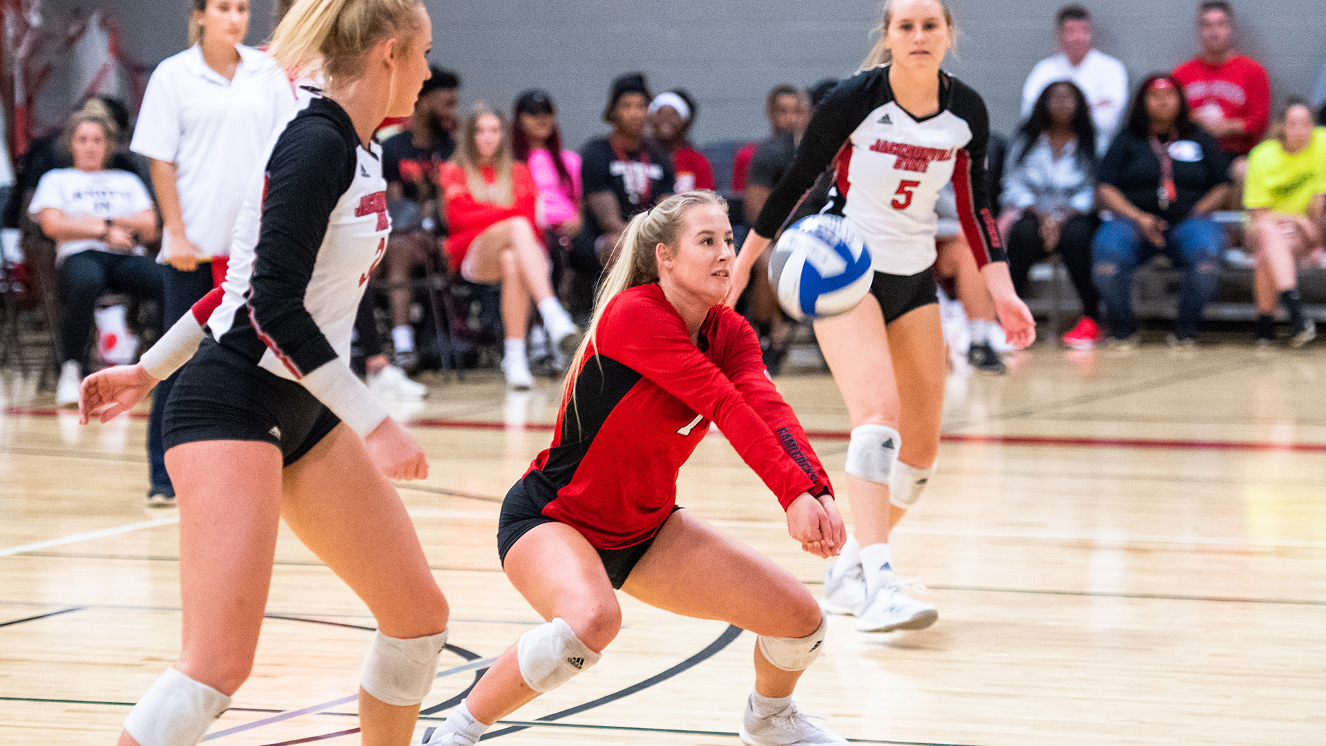 Dani Steele - Volleyball - Jacksonville State University Athletics