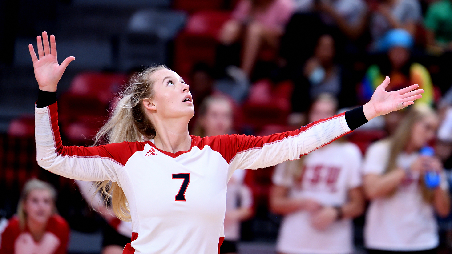 Dani Steele - Volleyball - Jacksonville State University Athletics