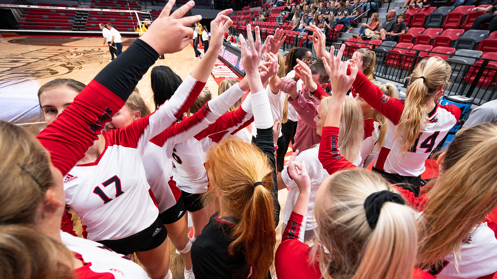 Anna Nelson - Volleyball - Jacksonville State University Athletics
