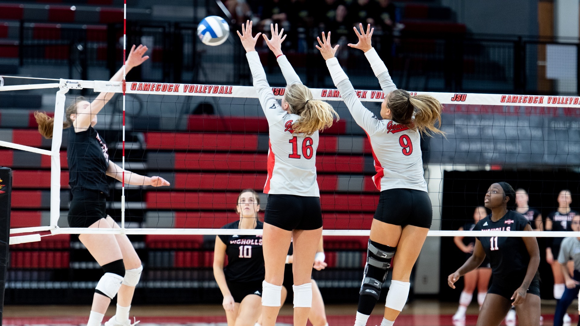 Courtney Glotzbach - Volleyball - Jacksonville State University Athletics