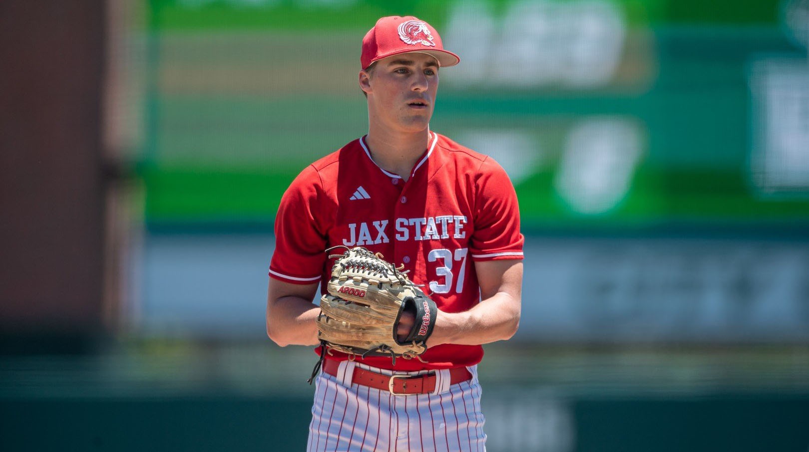 Austin Cornelius - Baseball - Jacksonville State University Athletics