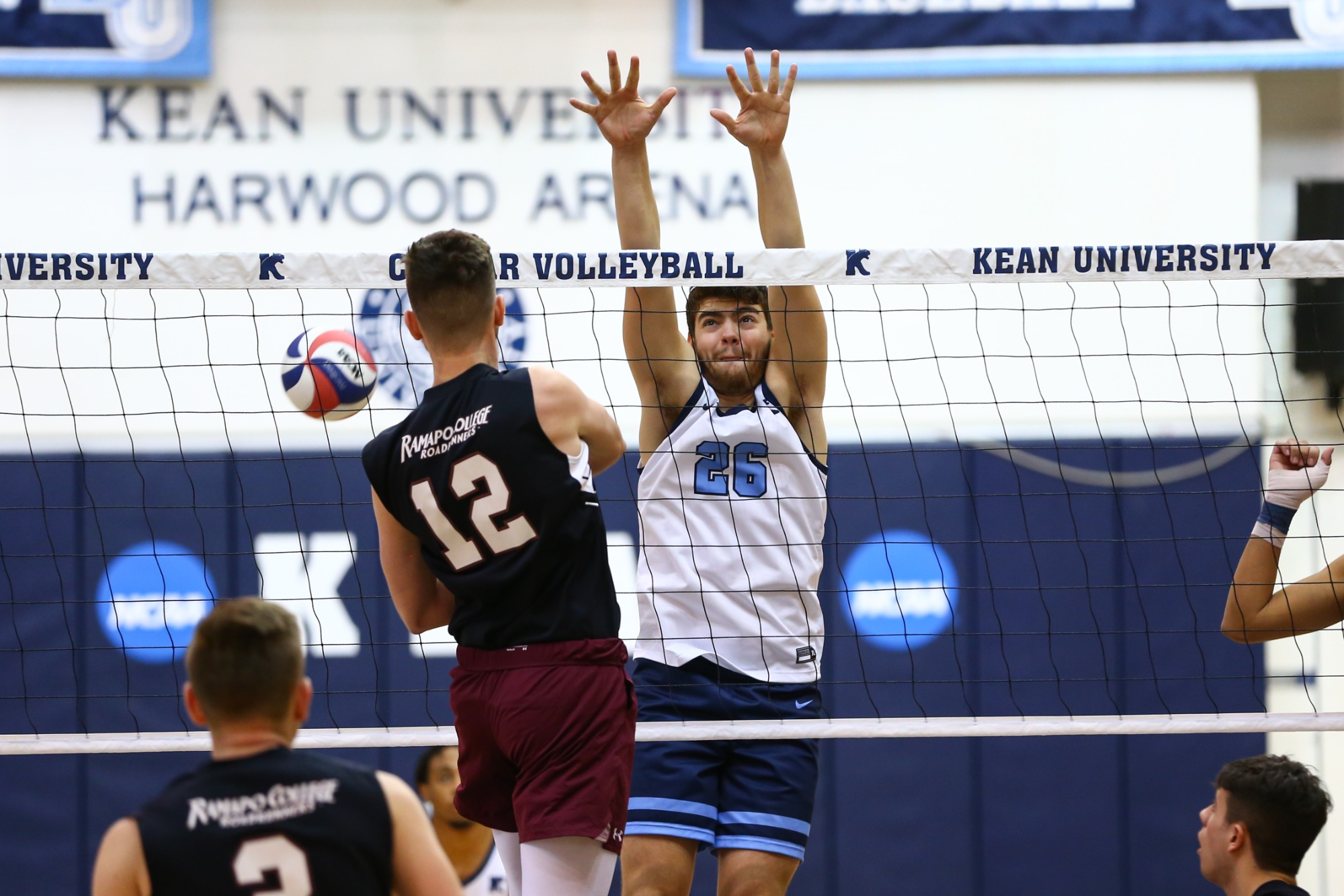 Ryan DiCandilo - 2024 - Men's Volleyball - Kean University