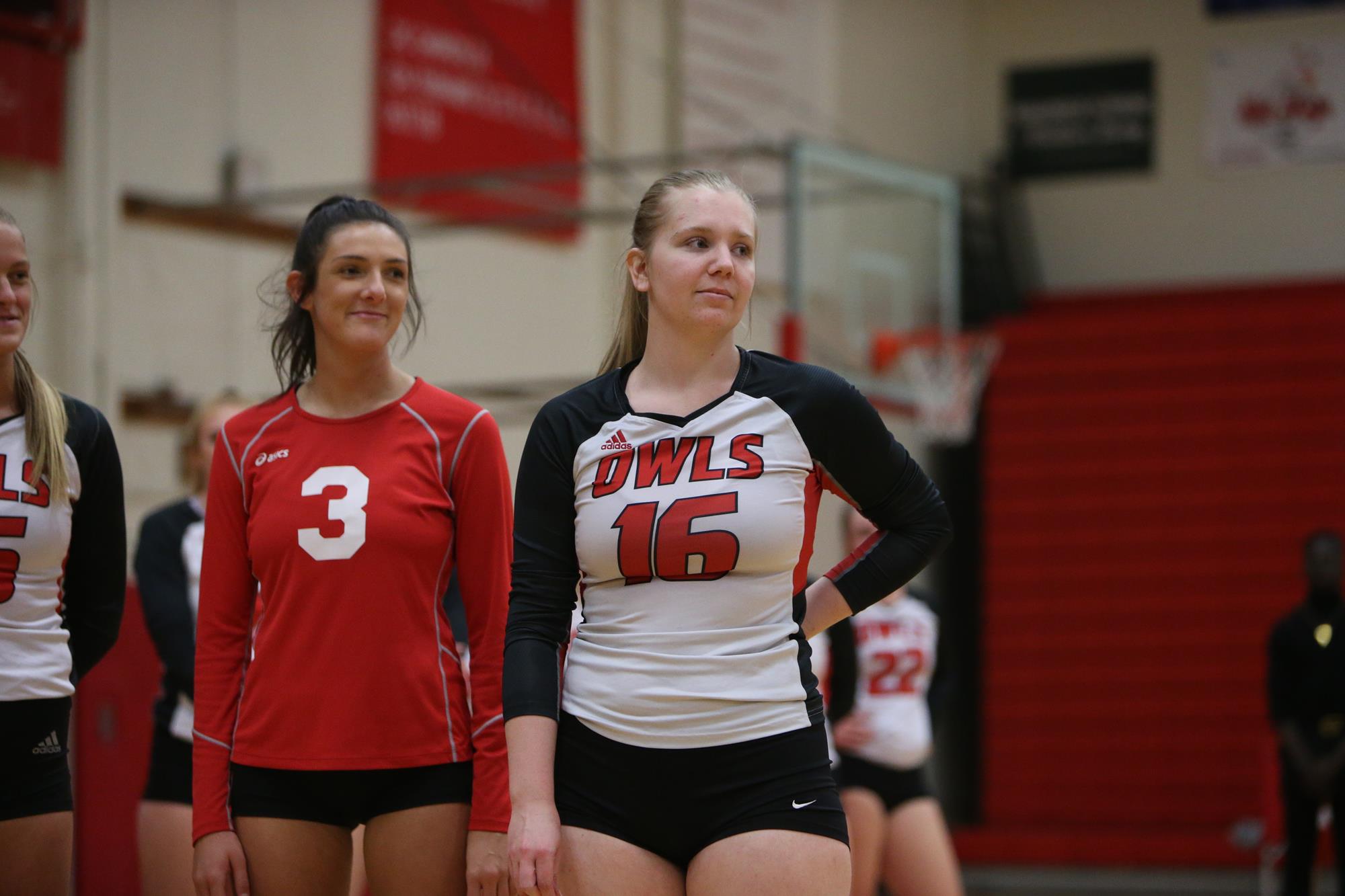 Bailey Wilson - 2019 - Women's Volleyball - Keene State College