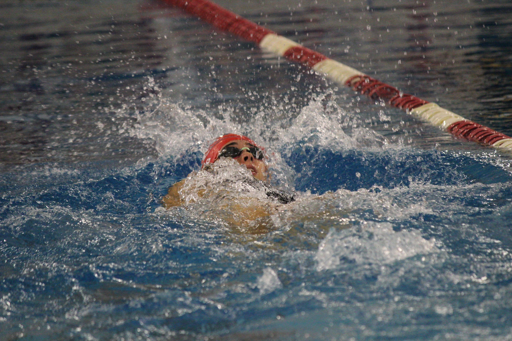 Kiley Young - 2023-2024 - Women's Swimming and Diving - Keene State College