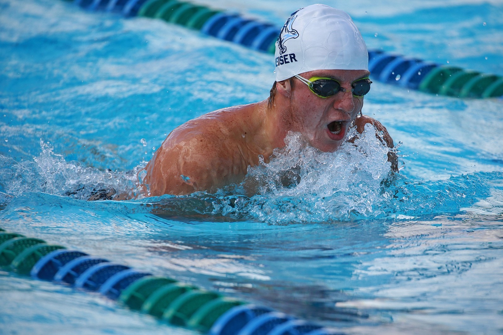 Ethan Webber - 2016-17 - No. 1 Men's Swimming & Diving - Keiser ...