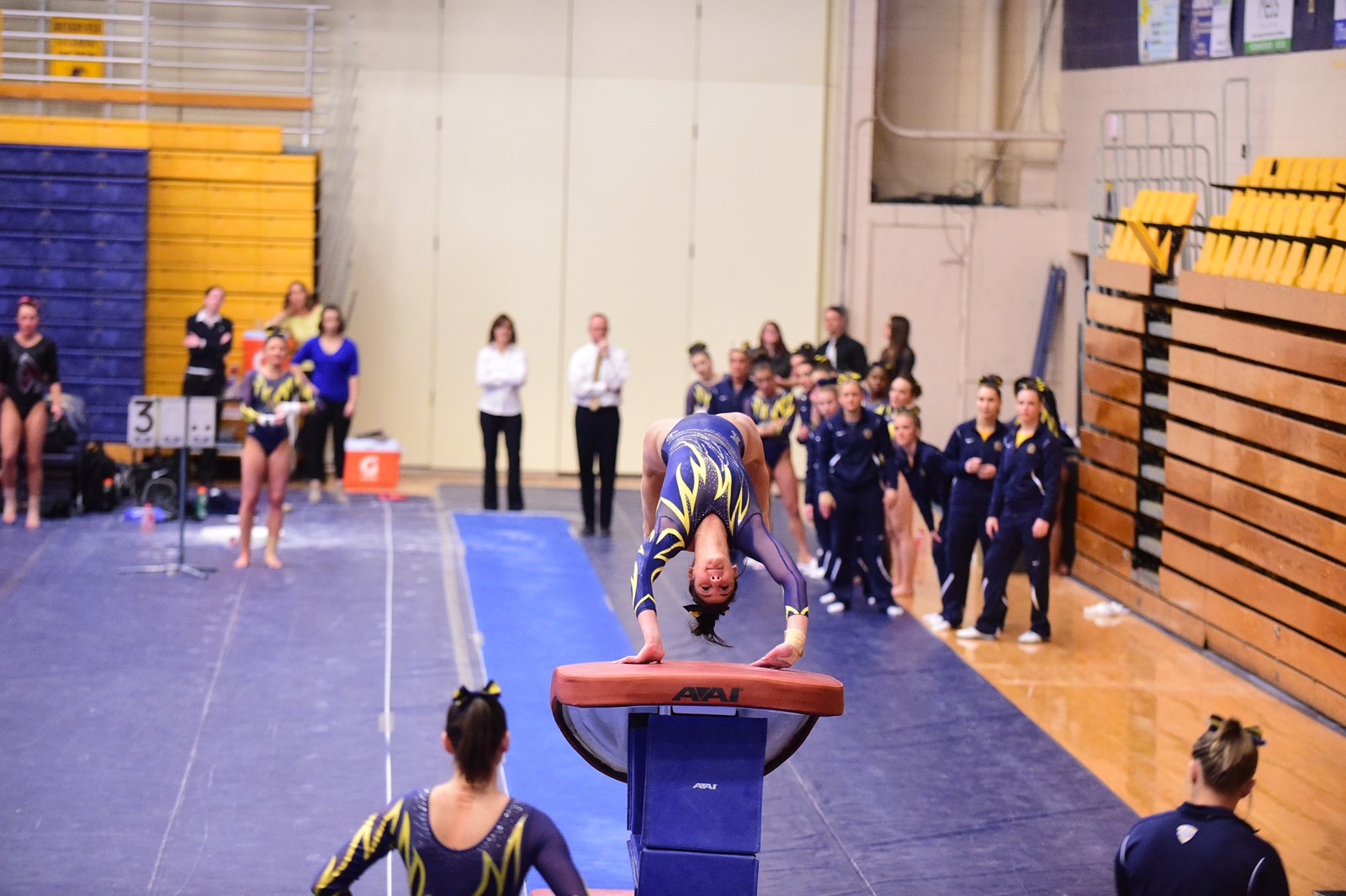 Michaela Romito - Gymnastics - Kent State Golden Flashes