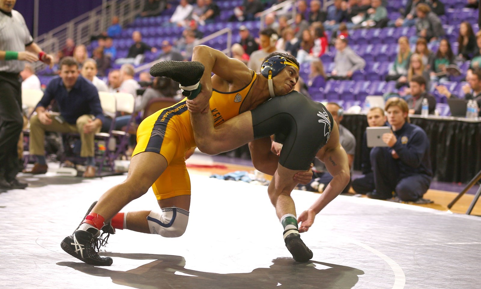 Casey Sparkman - Wrestling - Kent State Golden Flashes
