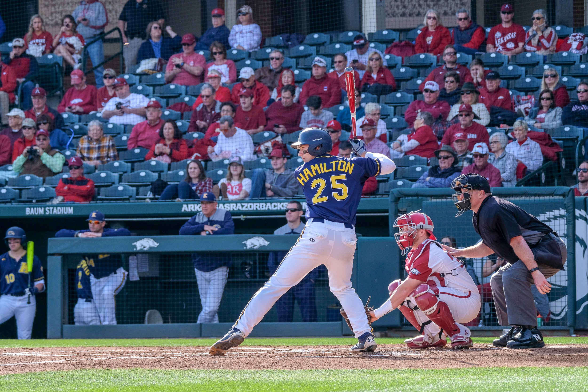 Brad Hamilton - Baseball - Kent State Golden Flashes